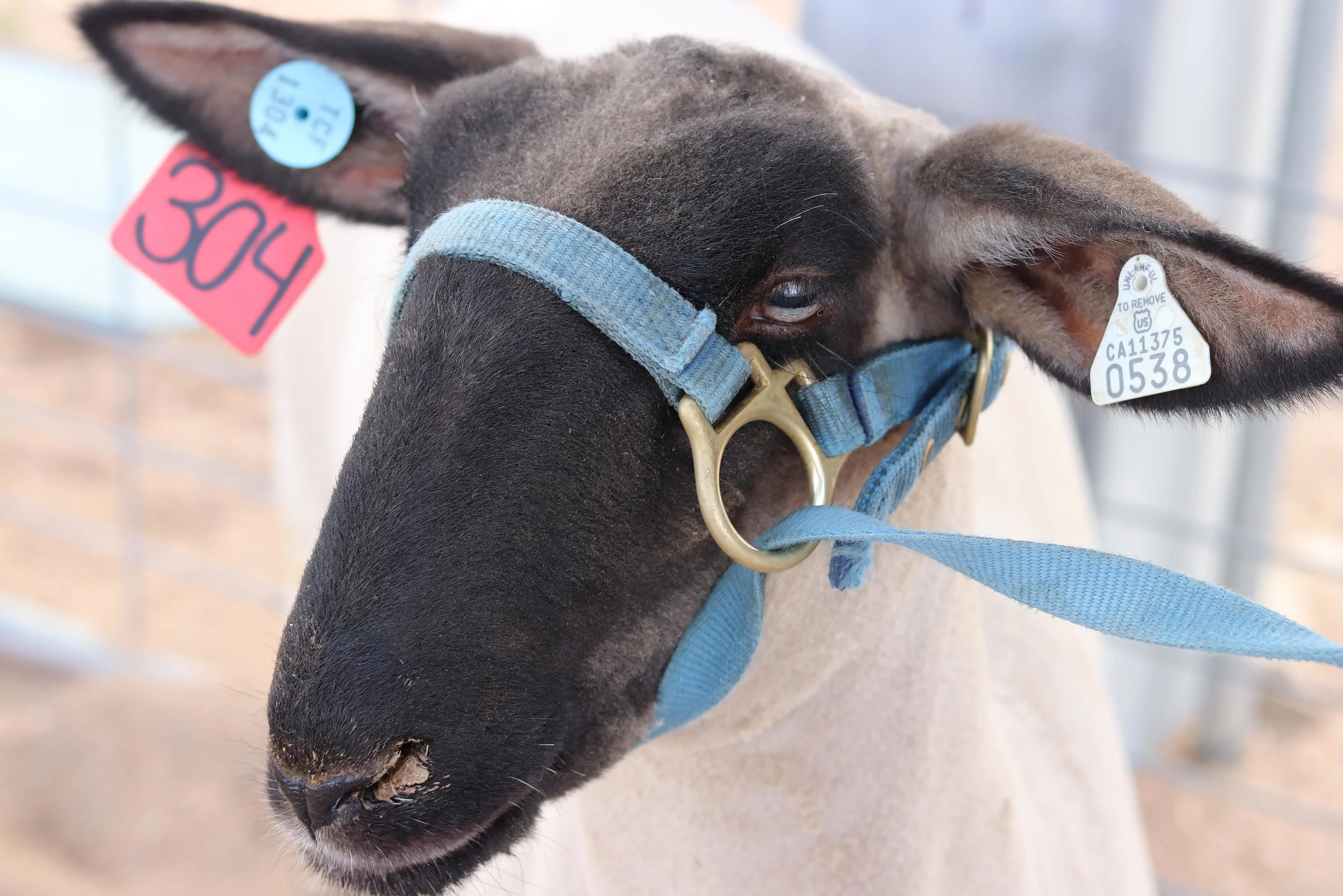 Mountain Desert Career Pathways