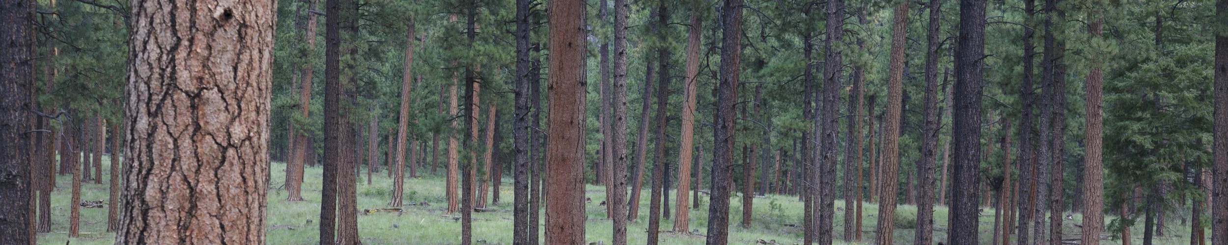 New Mexico Conservation Science