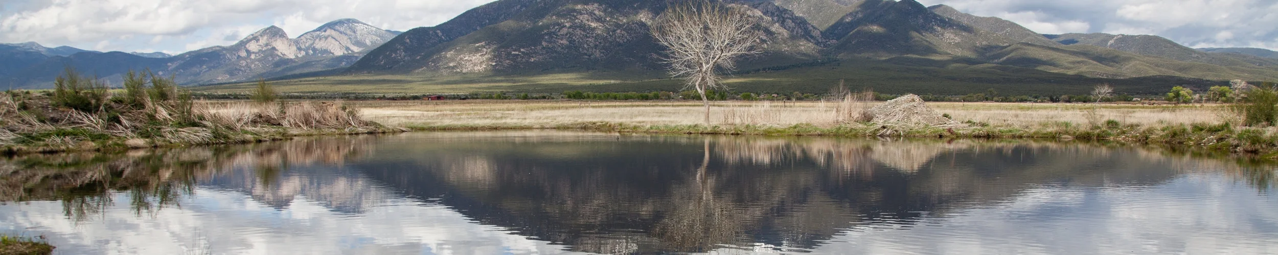 New Mexico Conservation Science