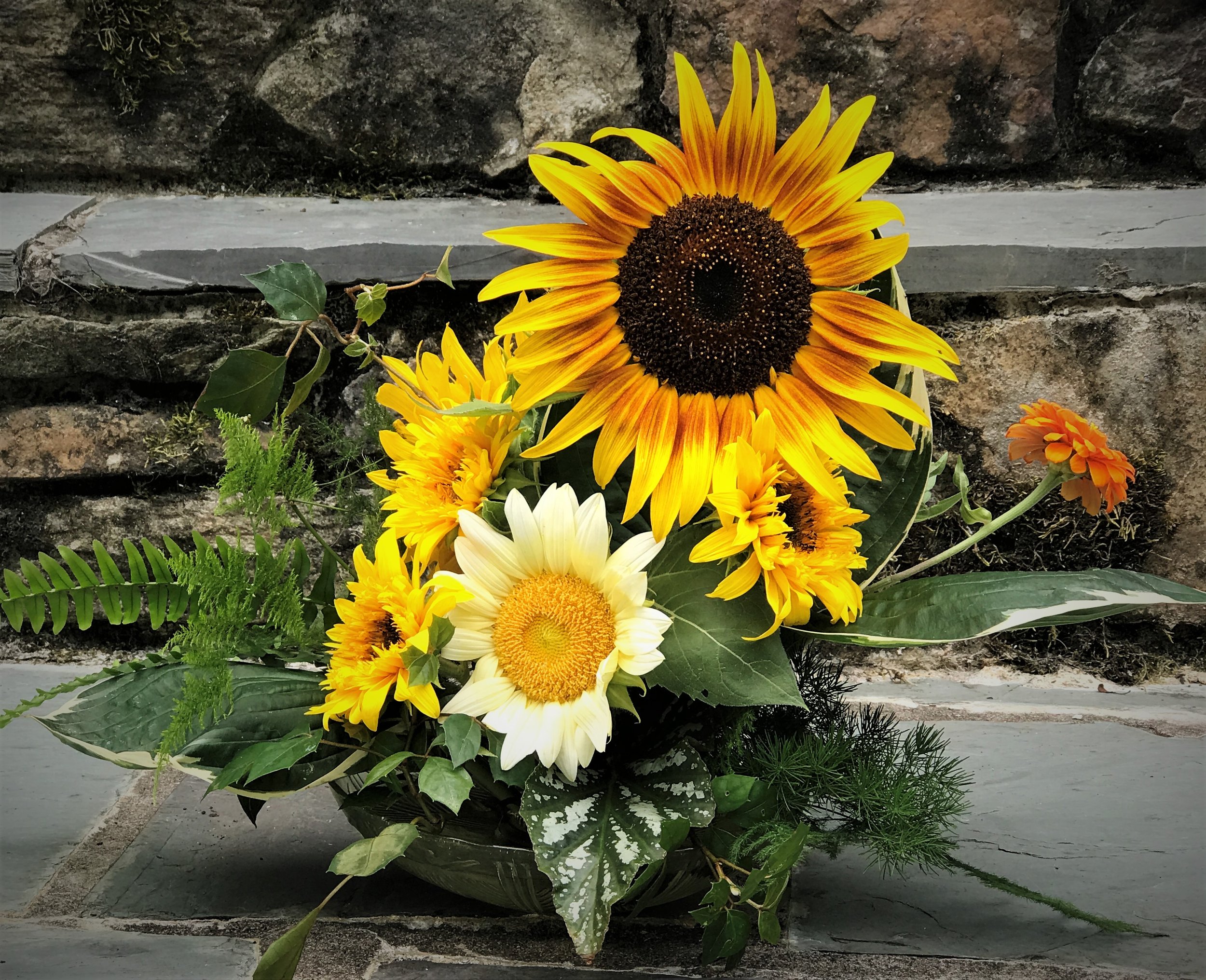 Workshop — Gathered: Storied Botanicals