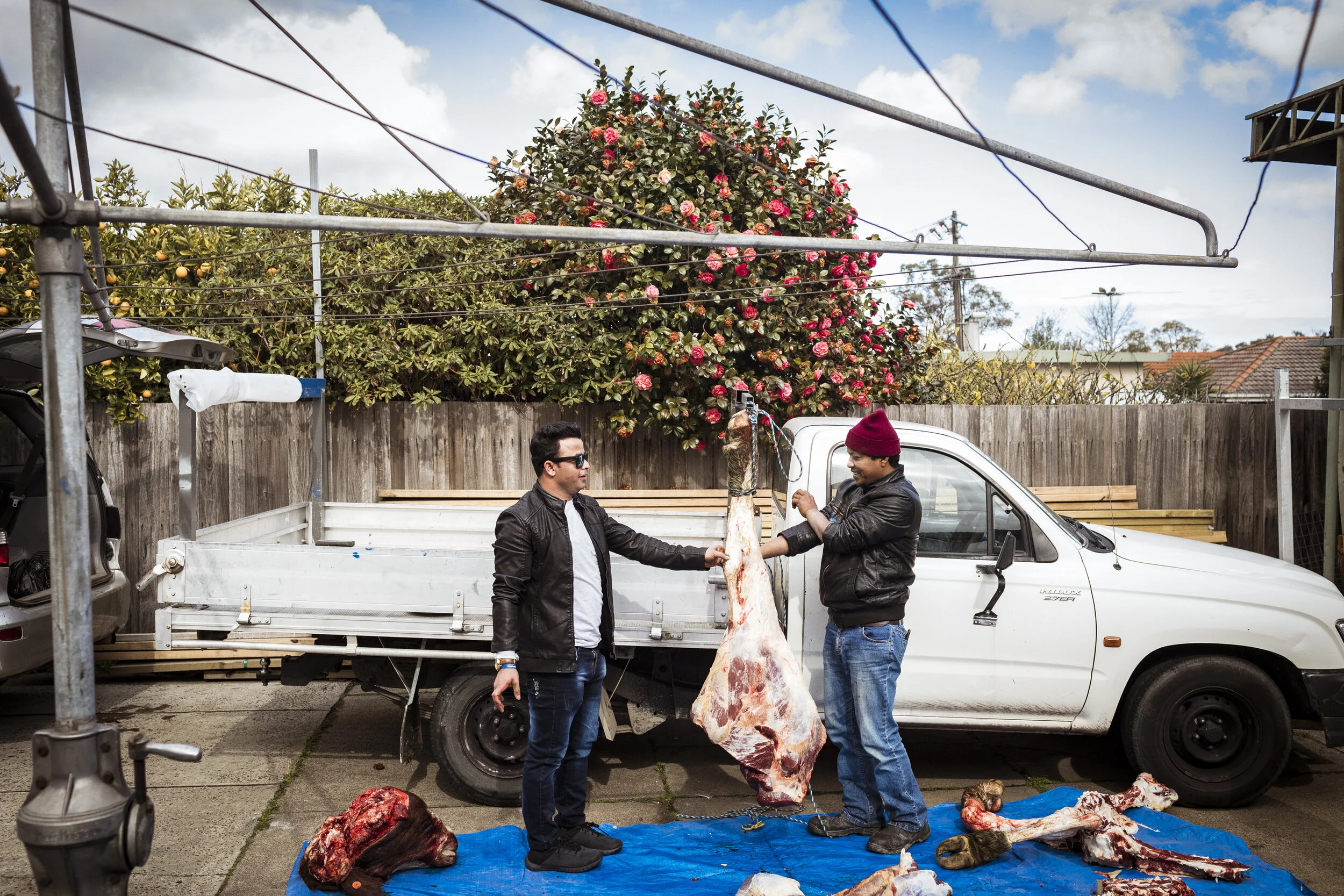 Christopher Hopkins Photojournalist — Chris Hopkins Photojournalist ...