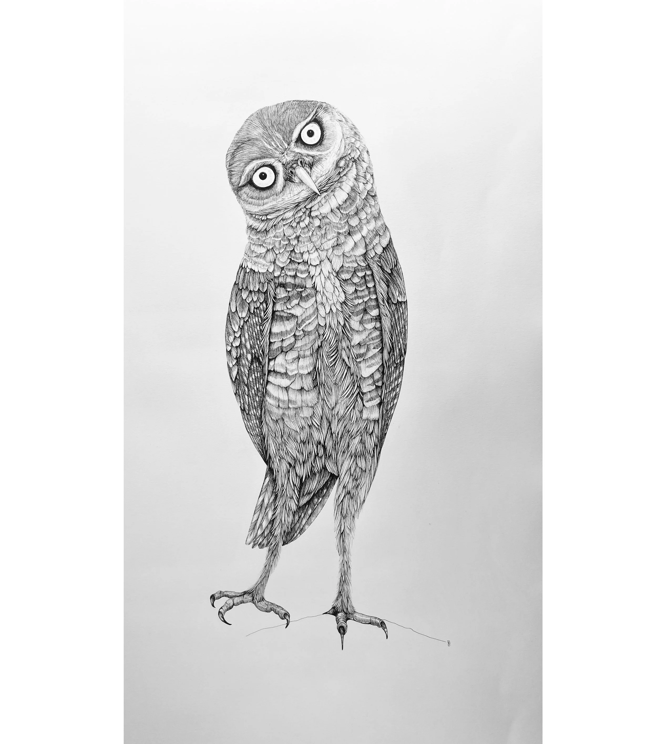 Sticks & Stones Art Studio