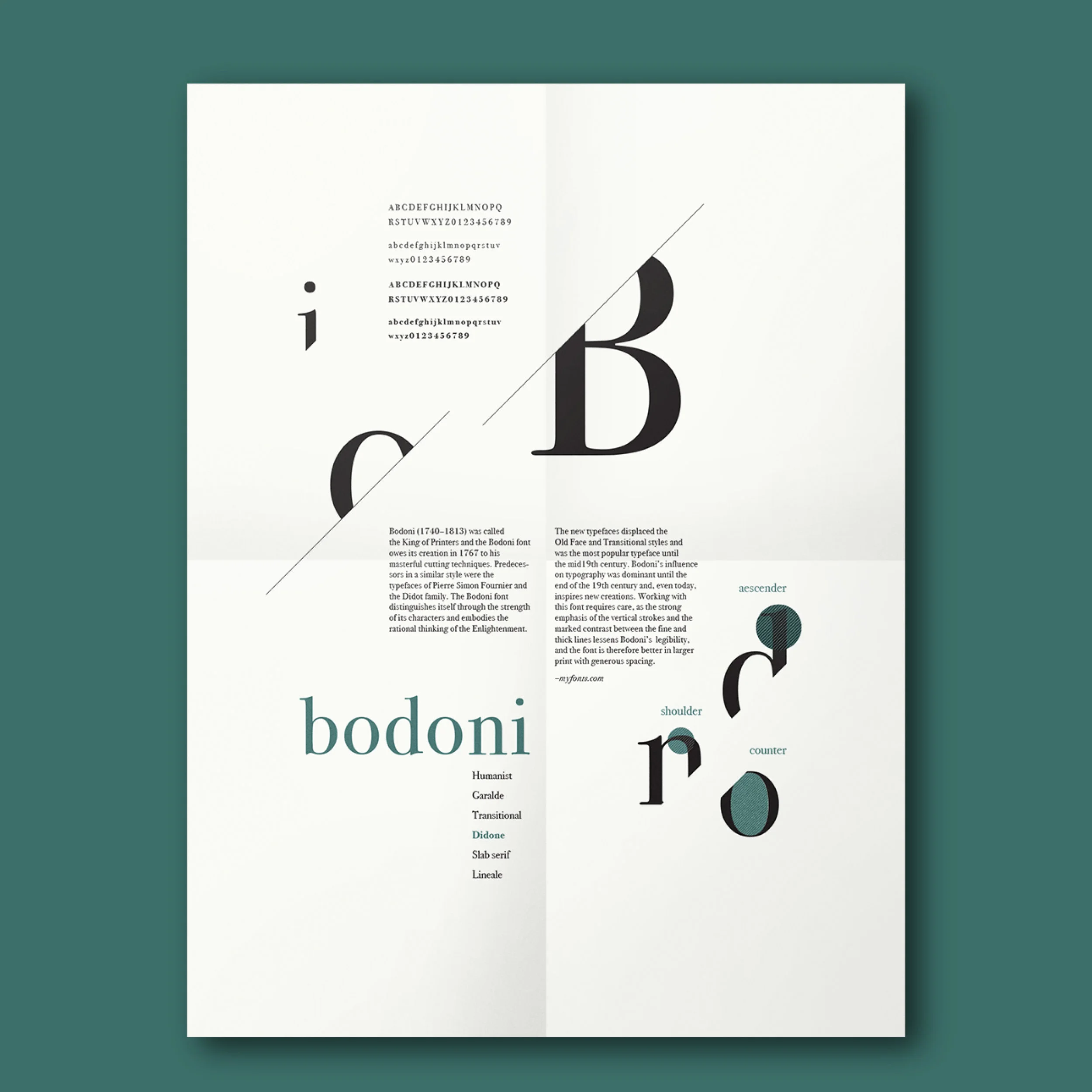 Bodoni Typeface Anatomy