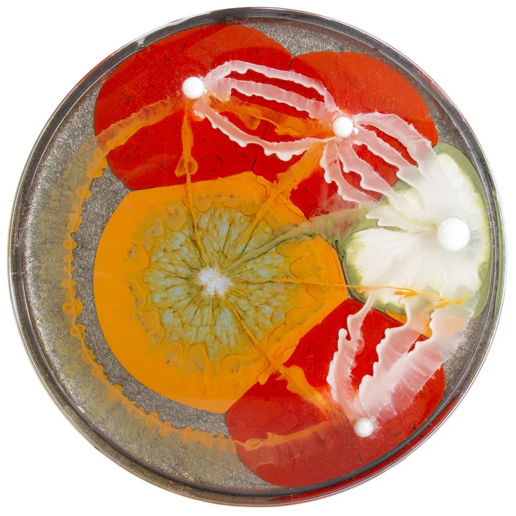 Petri Dish Art