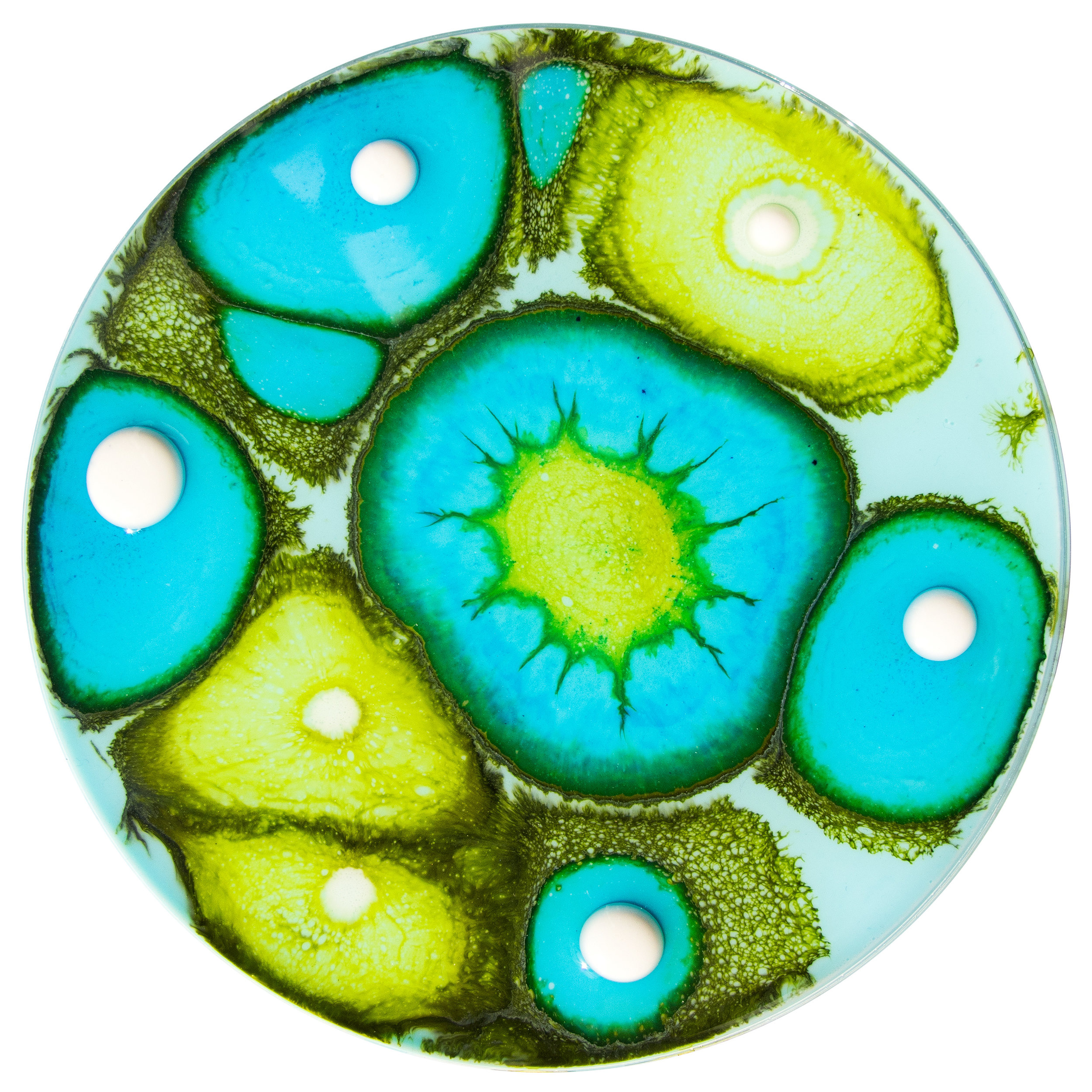 Petri Dish Art