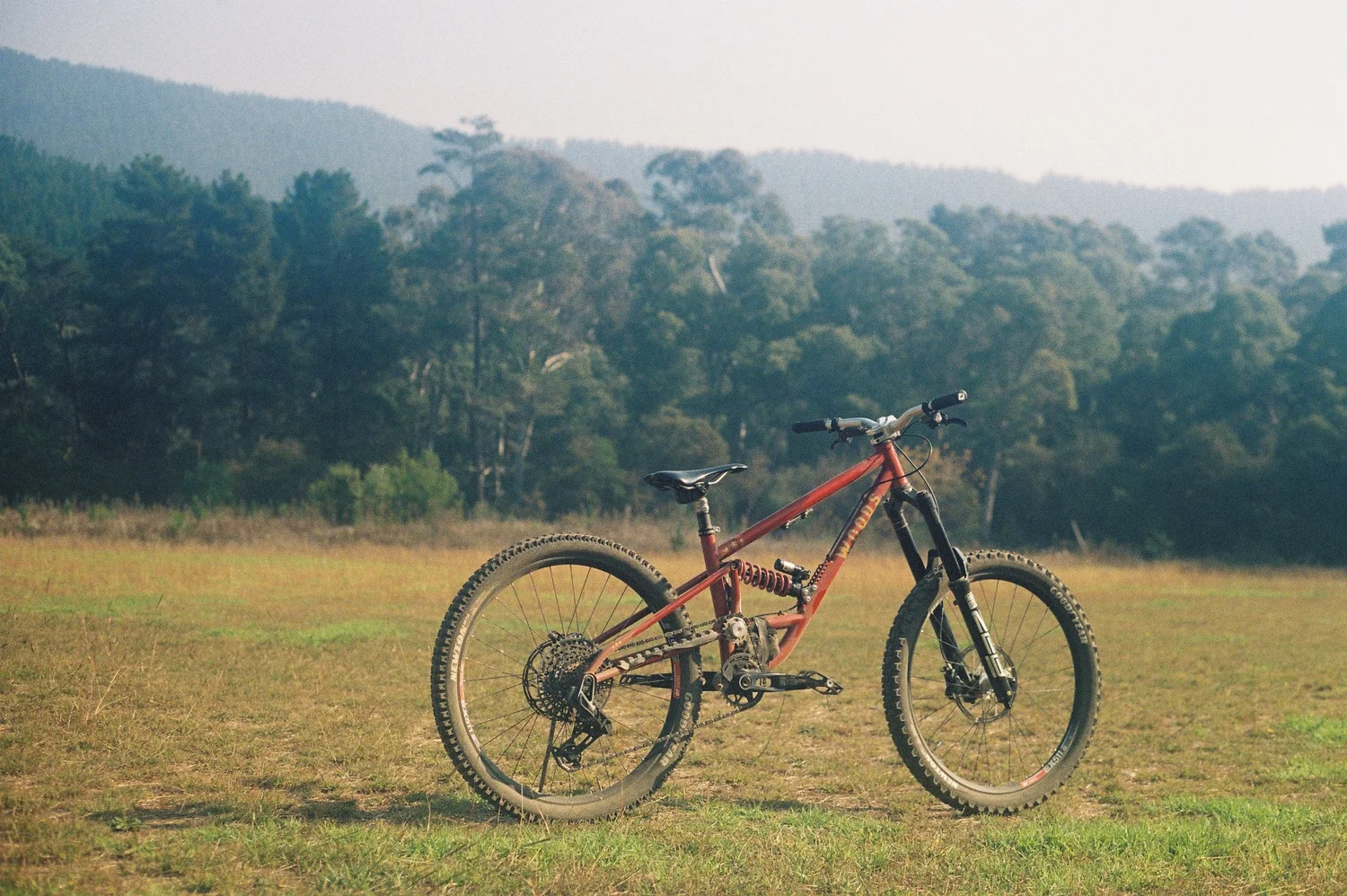 Store 1 — Woods Bicycle Company