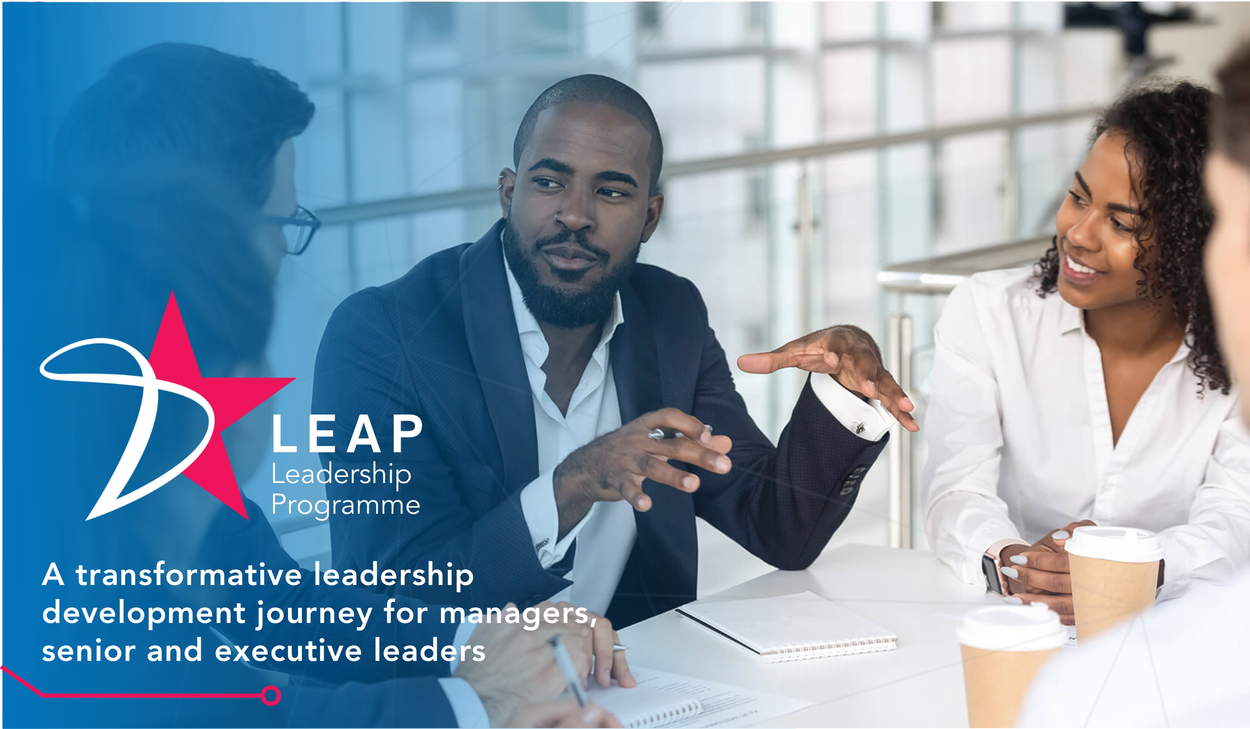 LEAP Leadership Brochure- PDF Form Download — CreateConsulting