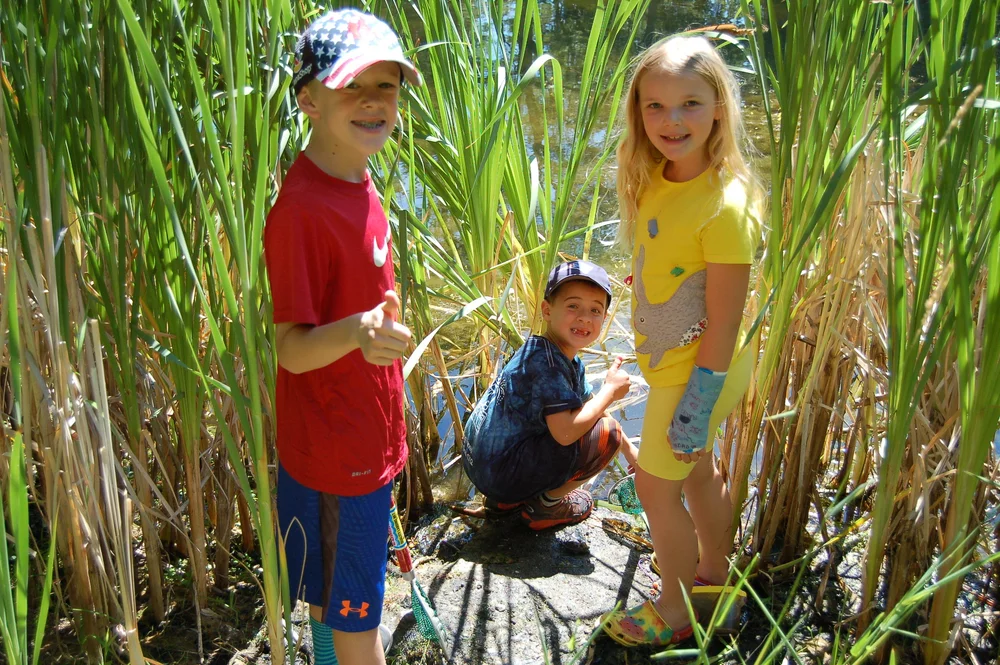 Base Camp — Summer Fenn