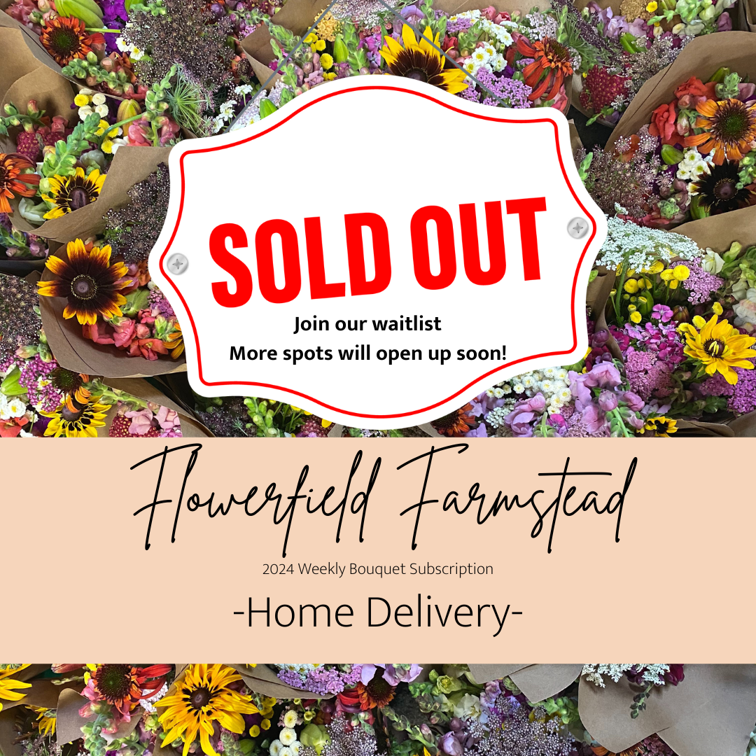 Flower Shop — Flowerfield Farmstead
