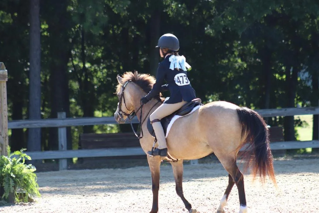 Hunters Ridge Farm — Ride