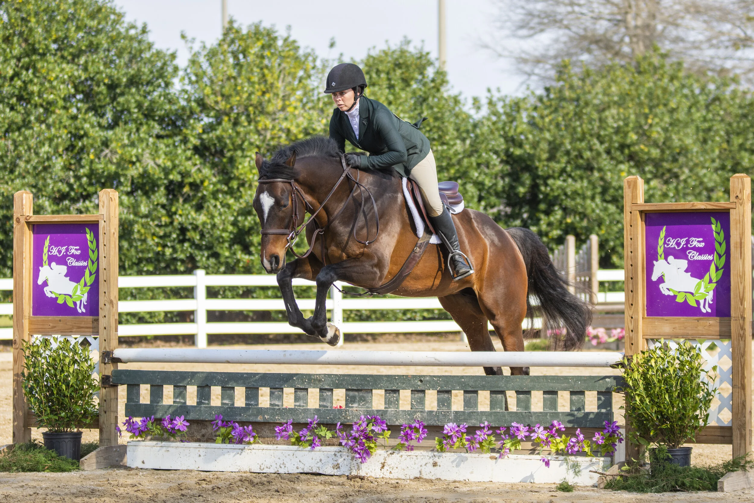 Hunters Ridge Farm — Show Survival Guide