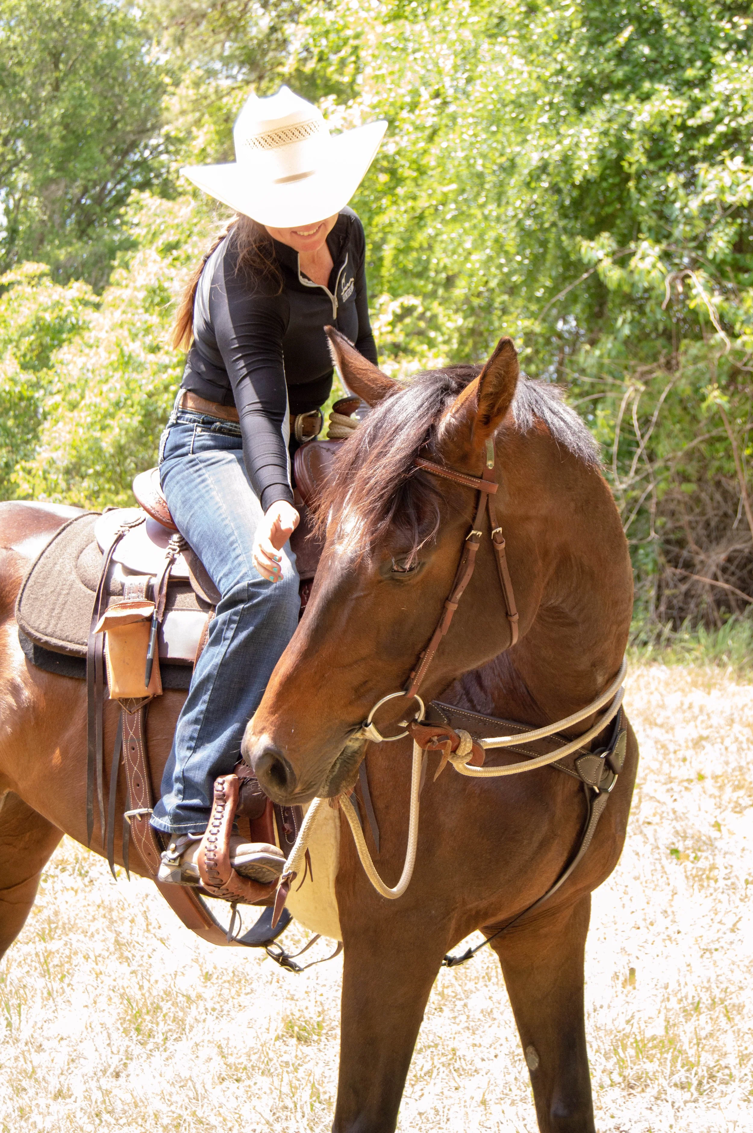 Hunters Ridge Farm — Building Better Hunters