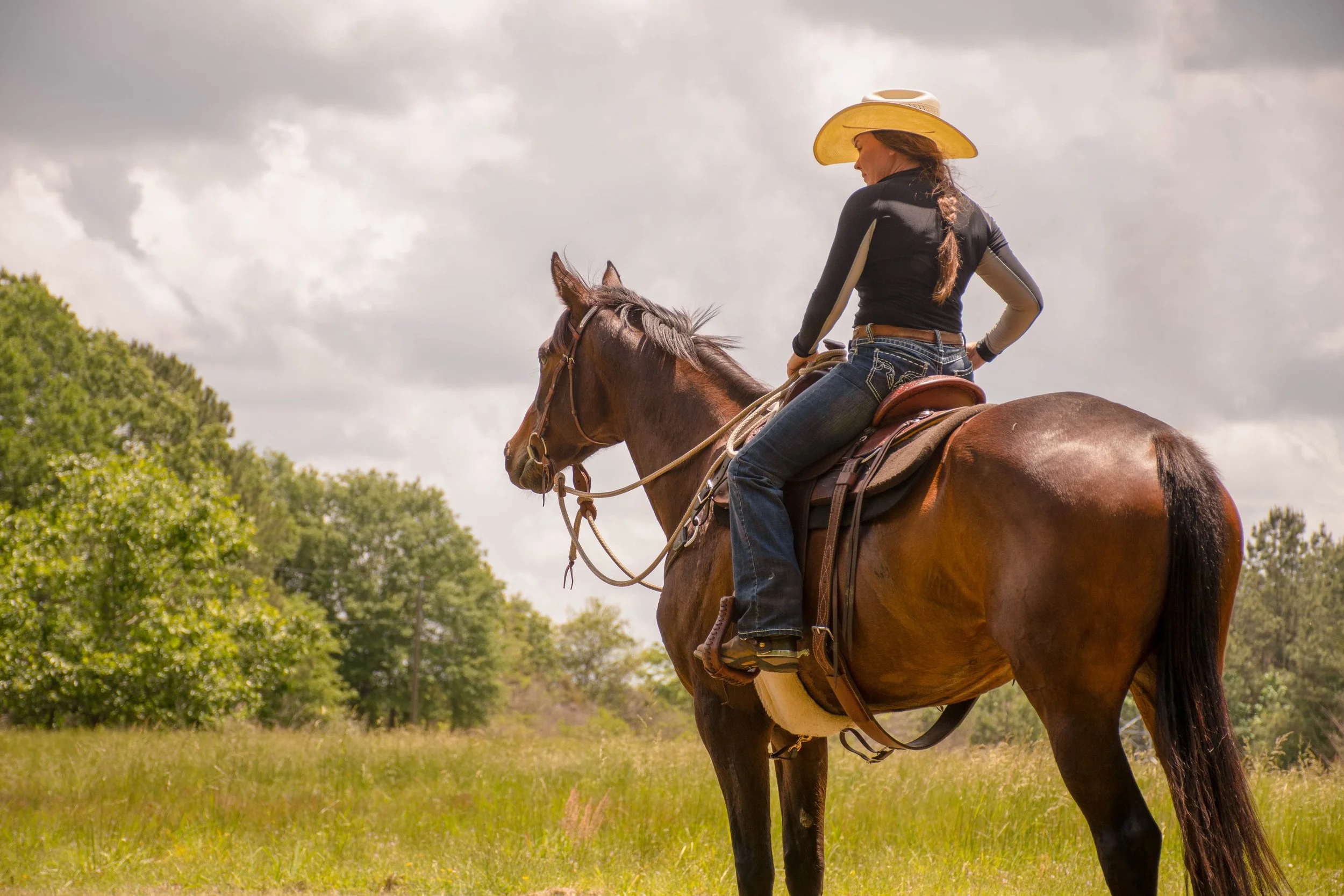 Hunters Ridge Farm — Building Better Hunters