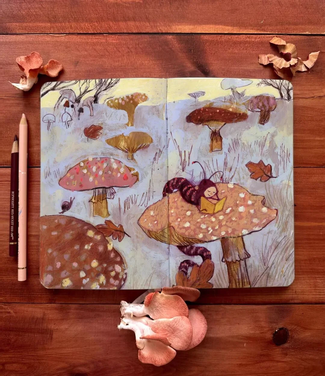 Illustrations — Lucia Para