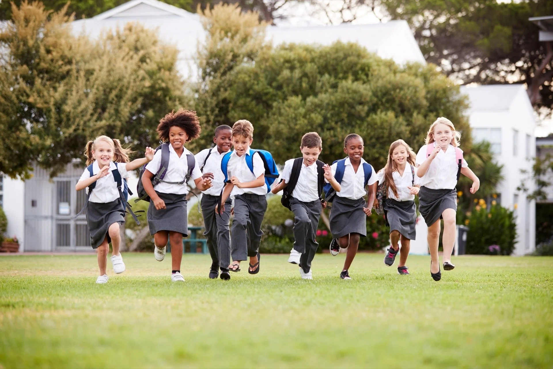 Surveyors to Education | Academy MAT | Premises Estates Strategy ...