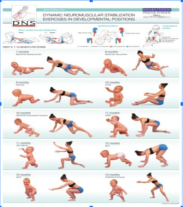 Mobility Matters - What is Dynamic Neuromuscular Stabilization (DNS ...