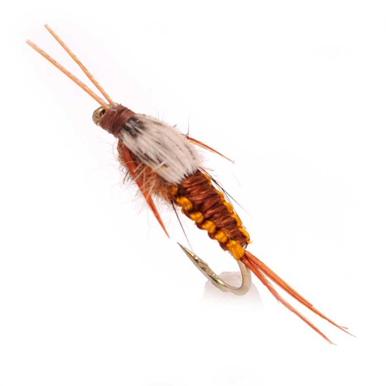 Stonefly (various patterns & colors) — Stream Flies