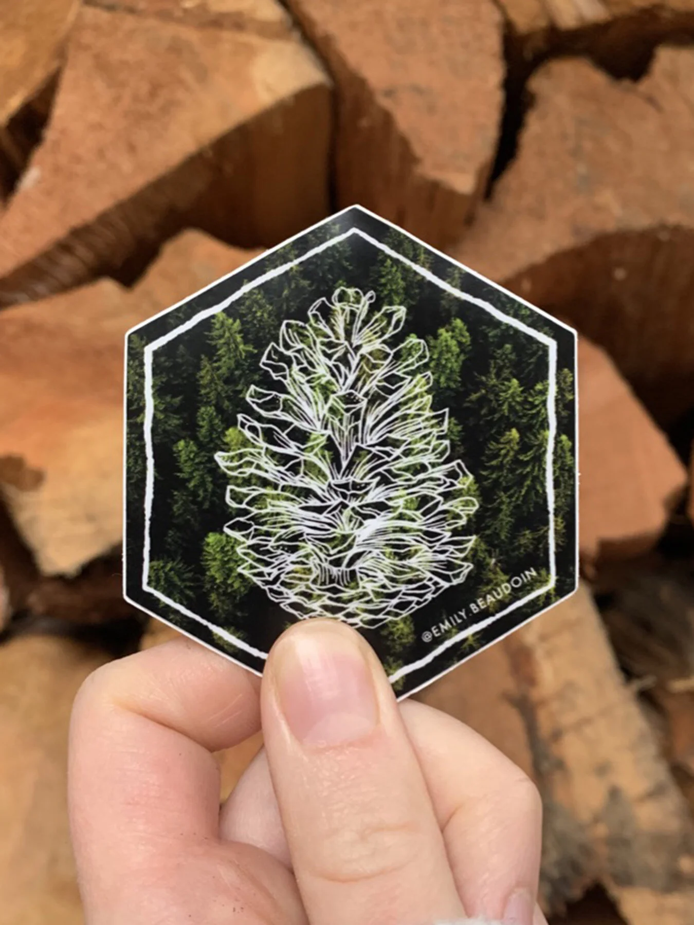 Shop — Emily Beaudoin