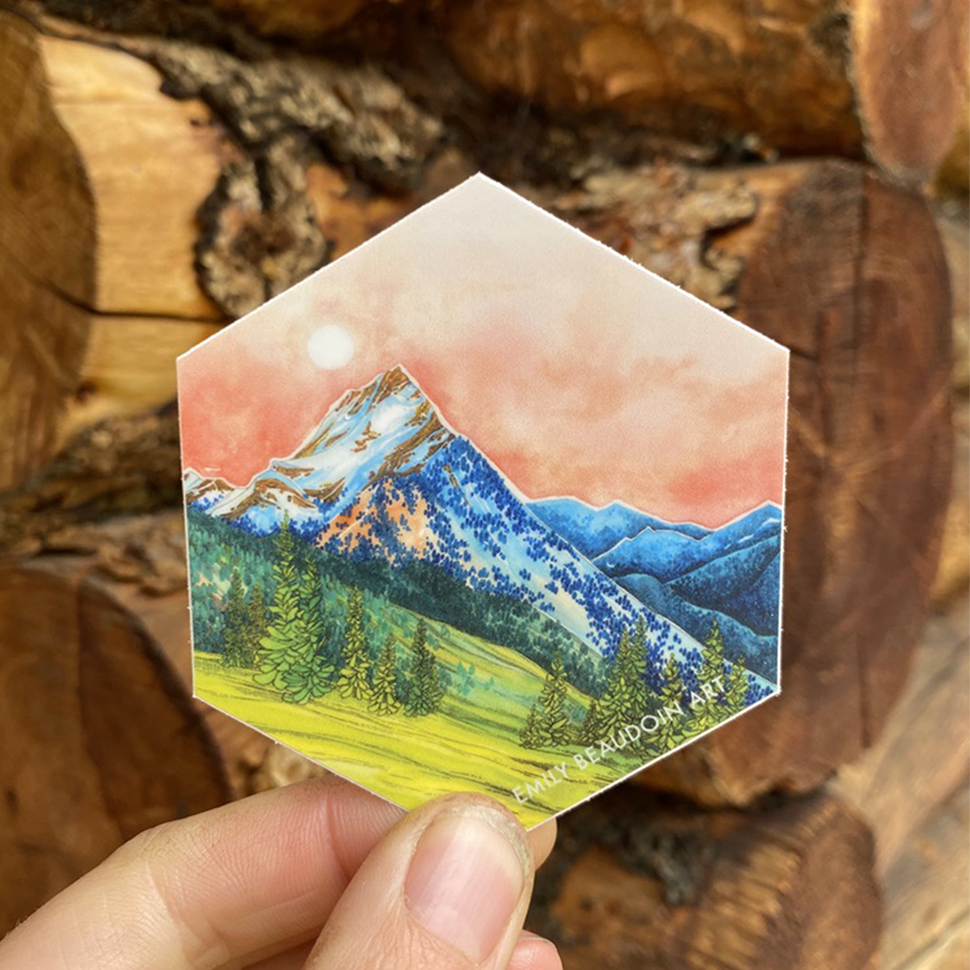 Shop — Emily Beaudoin