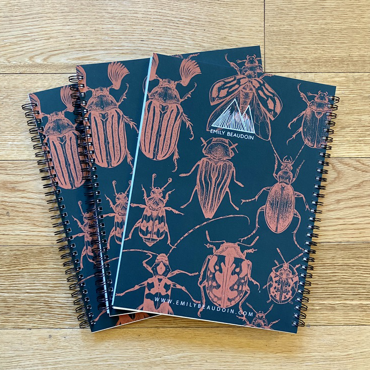 Shop — Emily Beaudoin