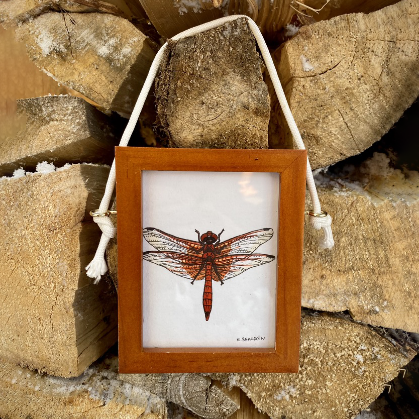 Shop — Emily Beaudoin