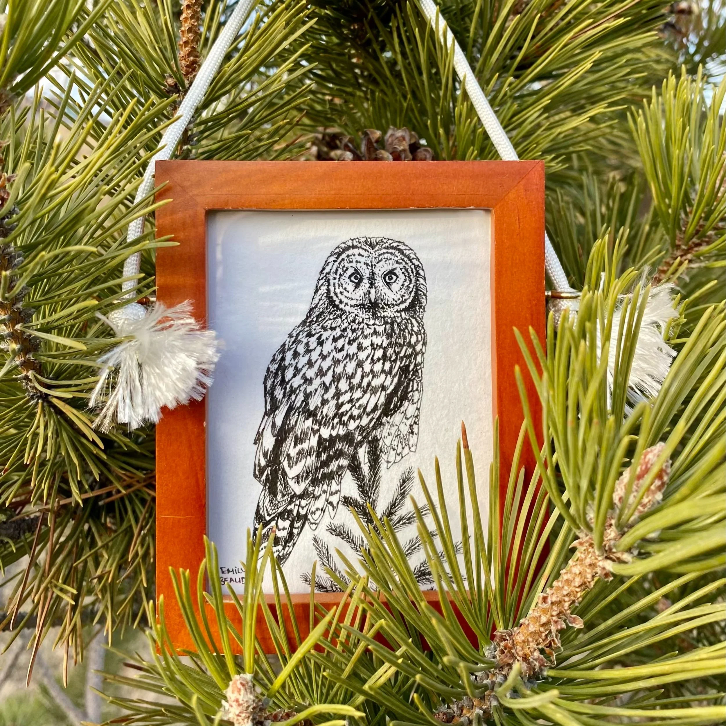 Shop — Emily Beaudoin