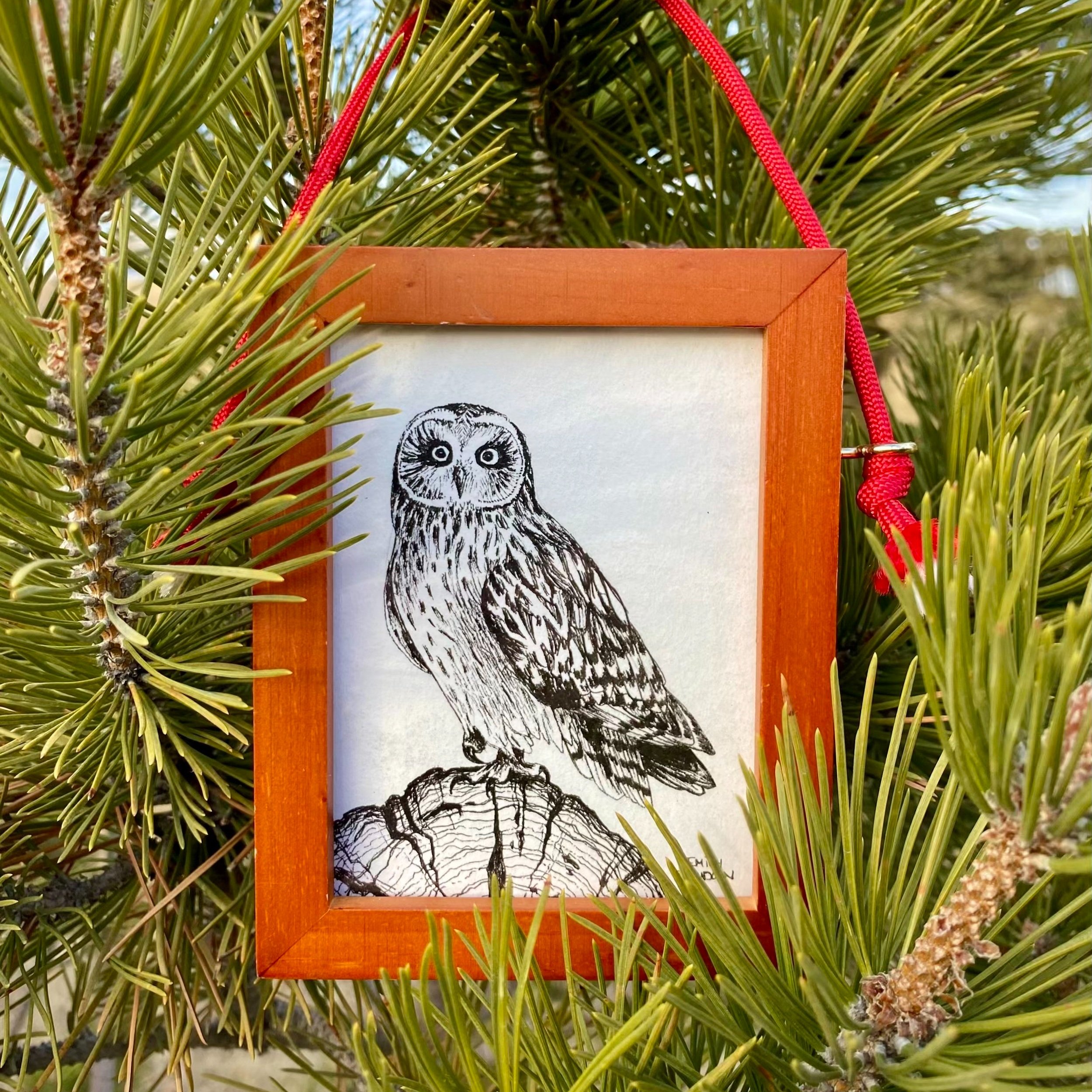 Shop — Emily Beaudoin