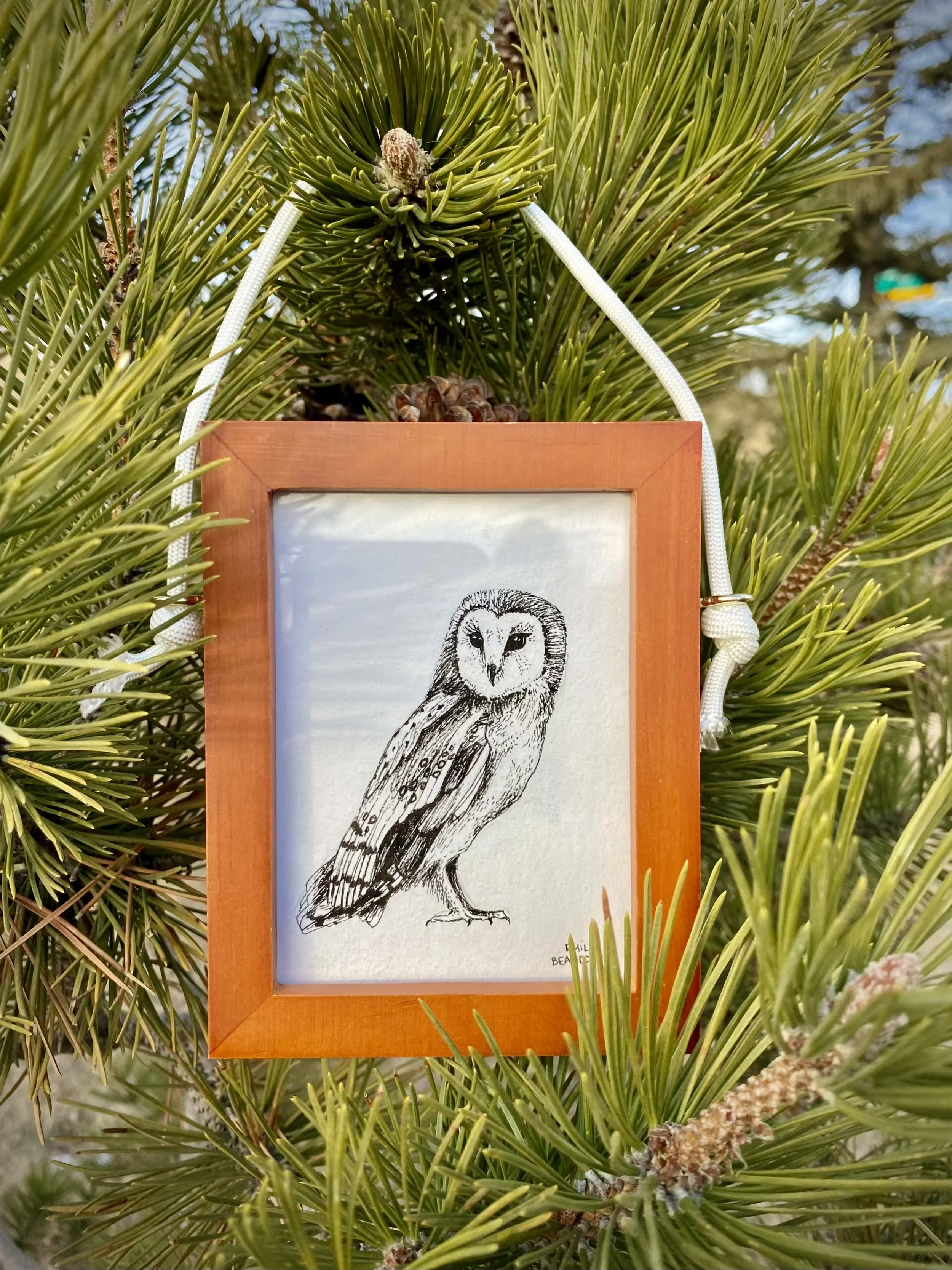 Shop — Emily Beaudoin