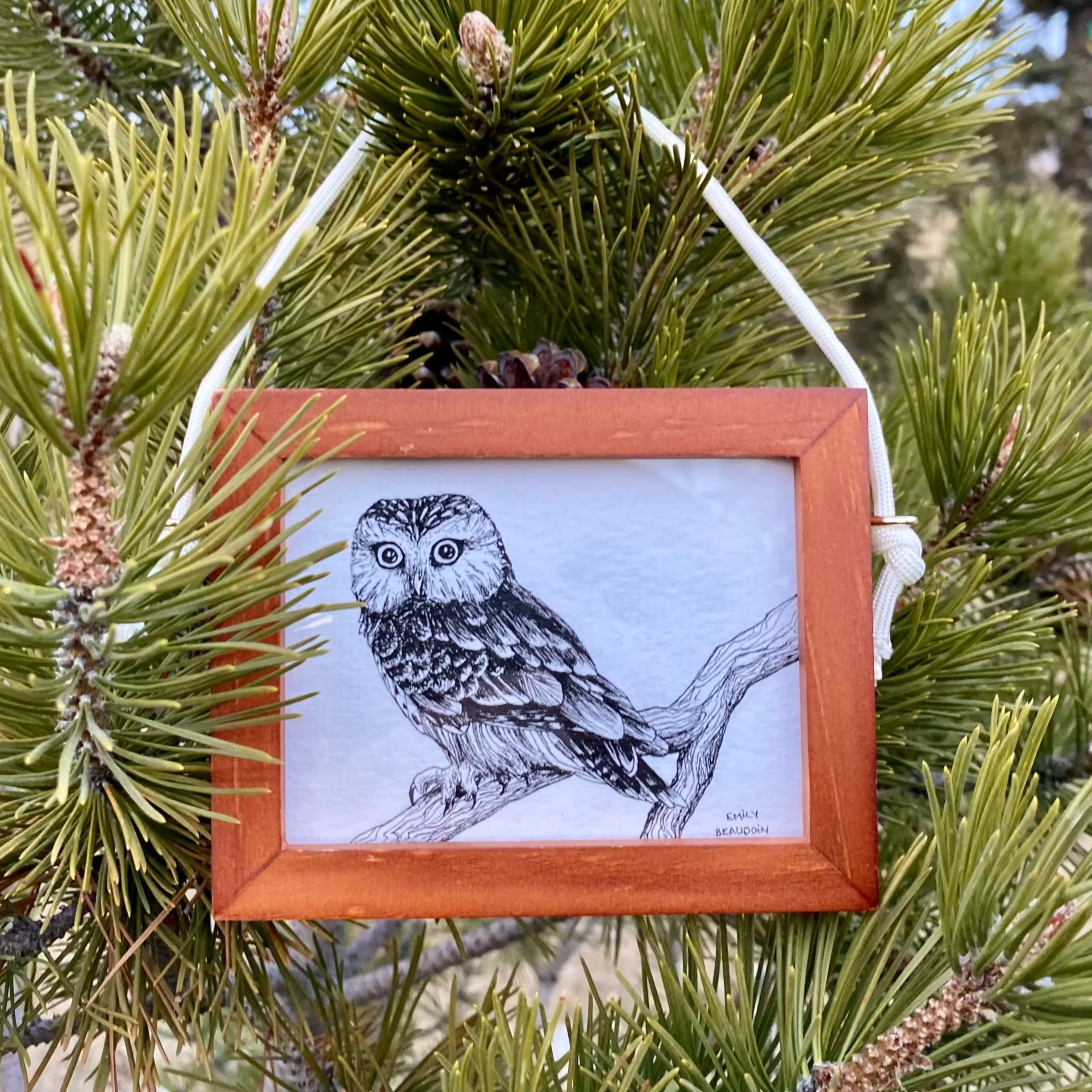 Shop — Emily Beaudoin