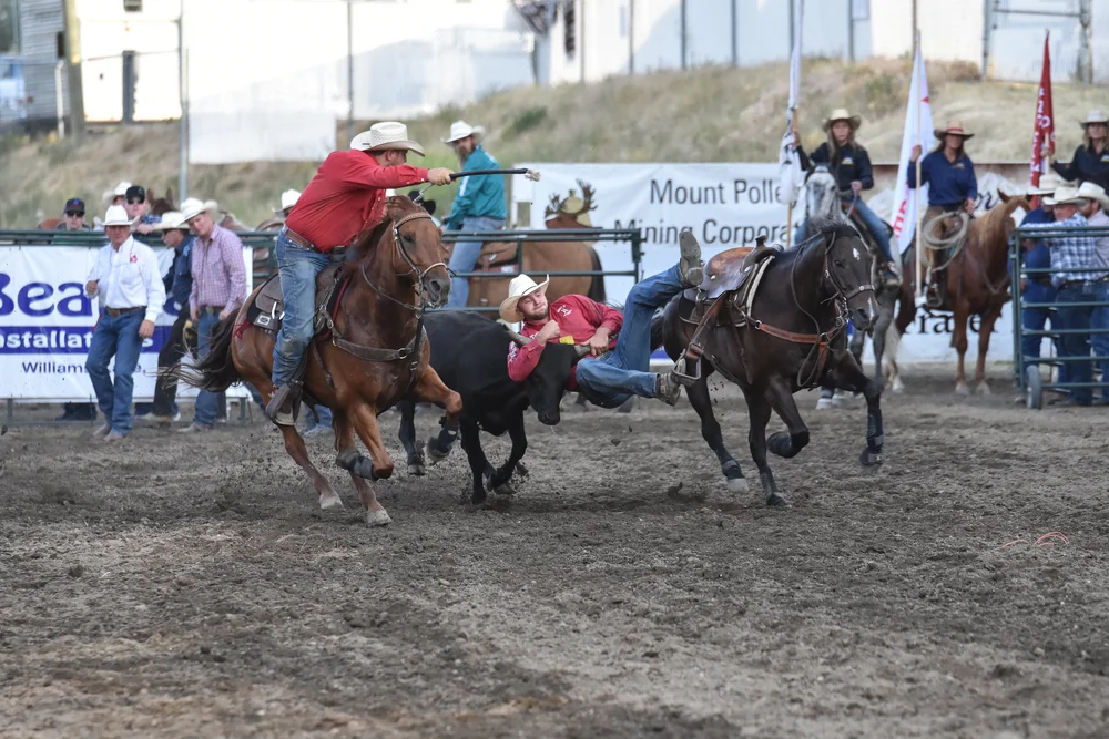Events & Results — Williams Lake Stampede