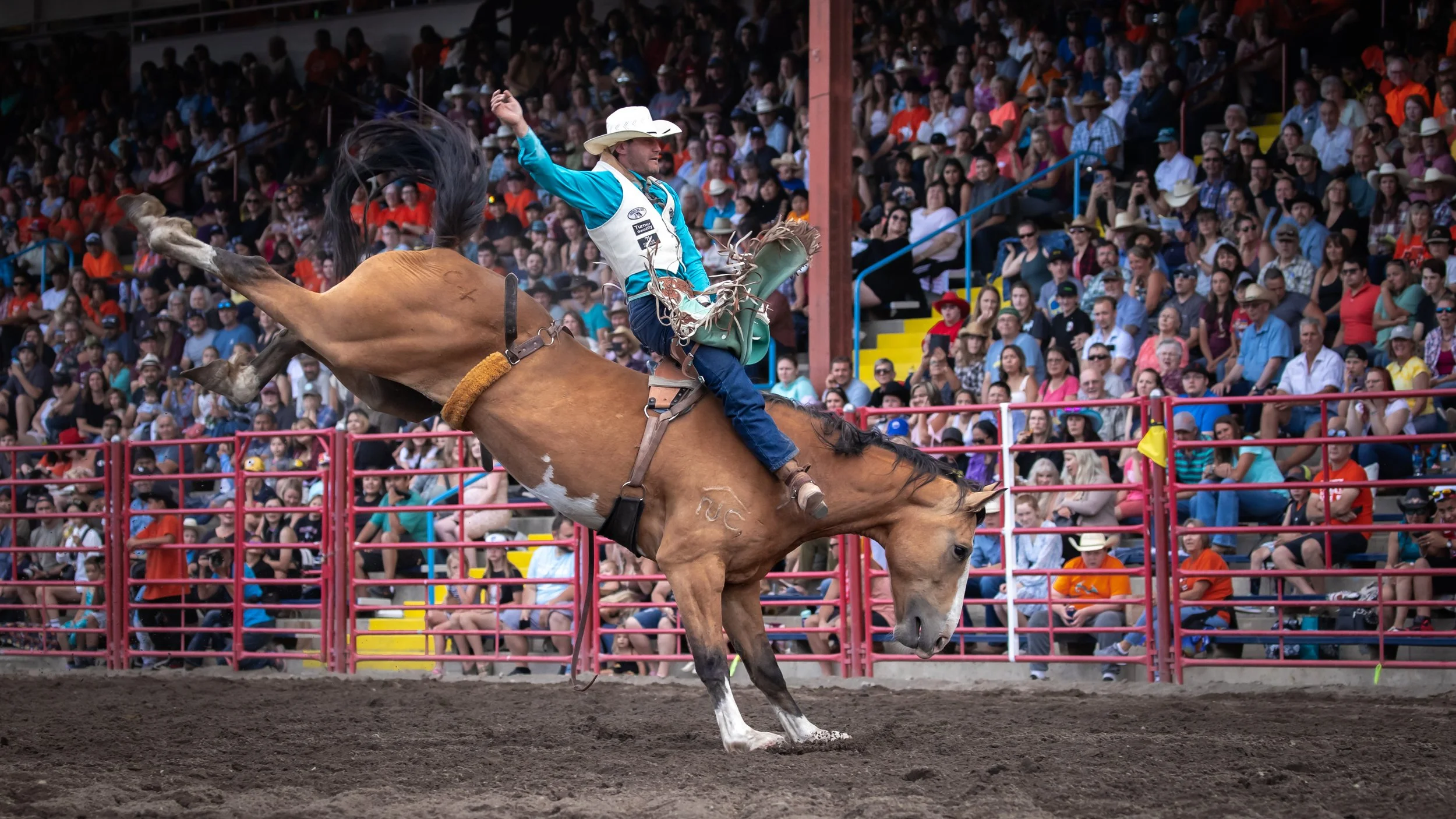 What's On — Williams Lake Stampede