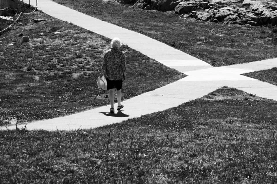 Photos — David Filipov