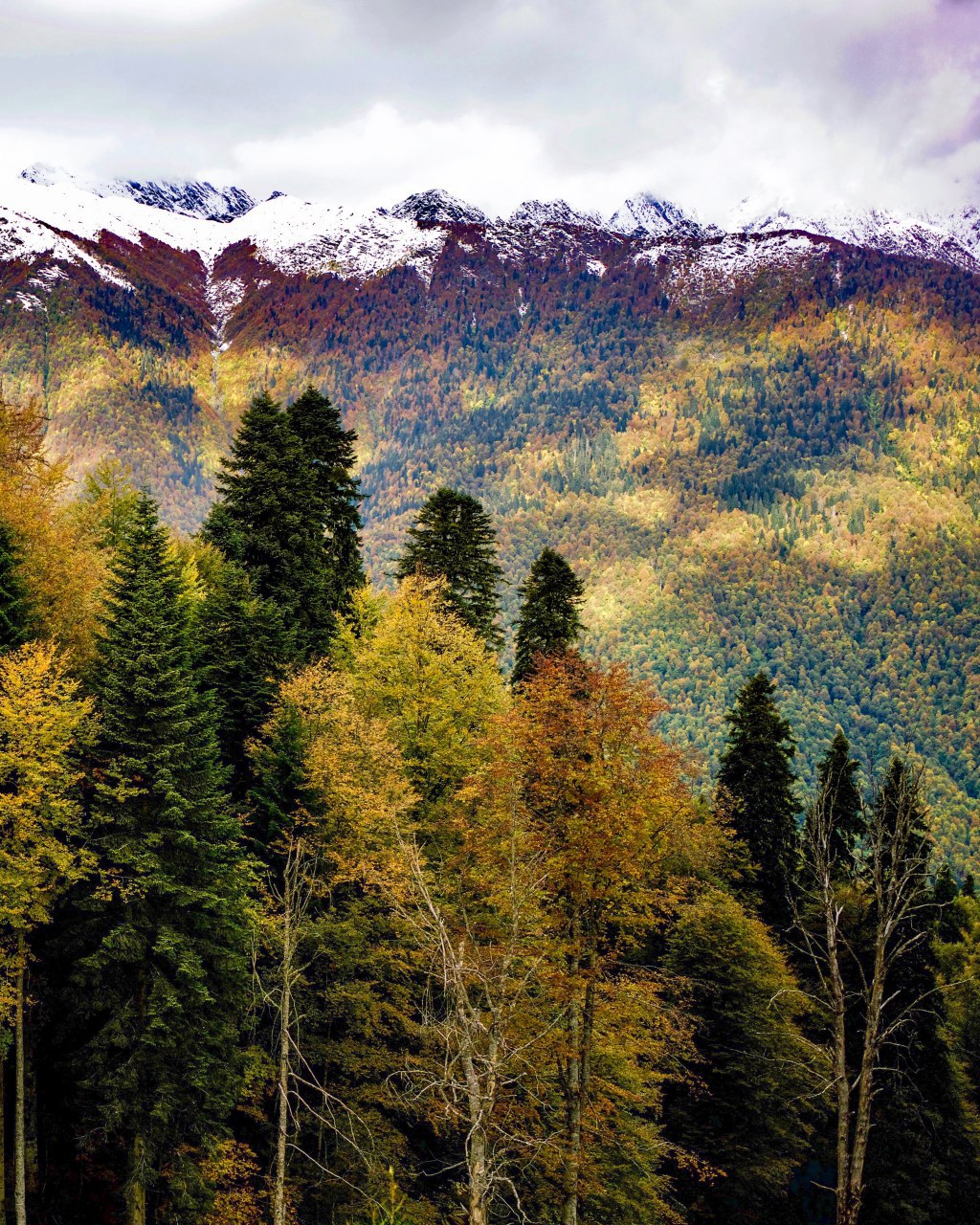 Photos — David Filipov