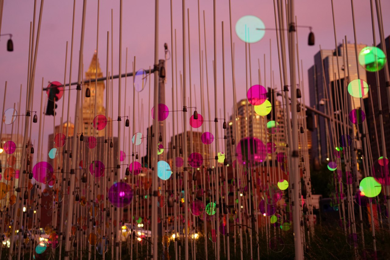 Photos — David Filipov