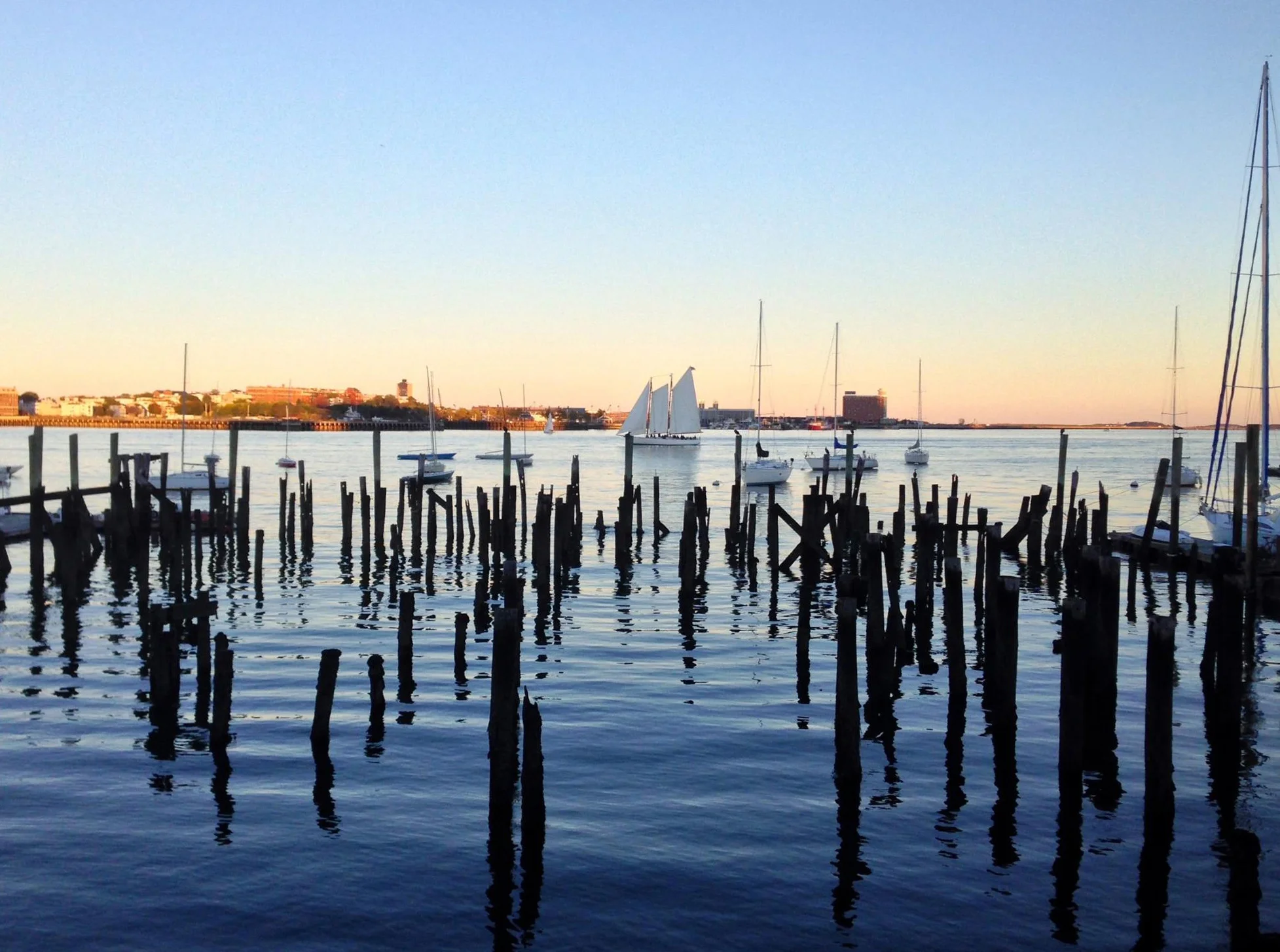 Photos — David Filipov