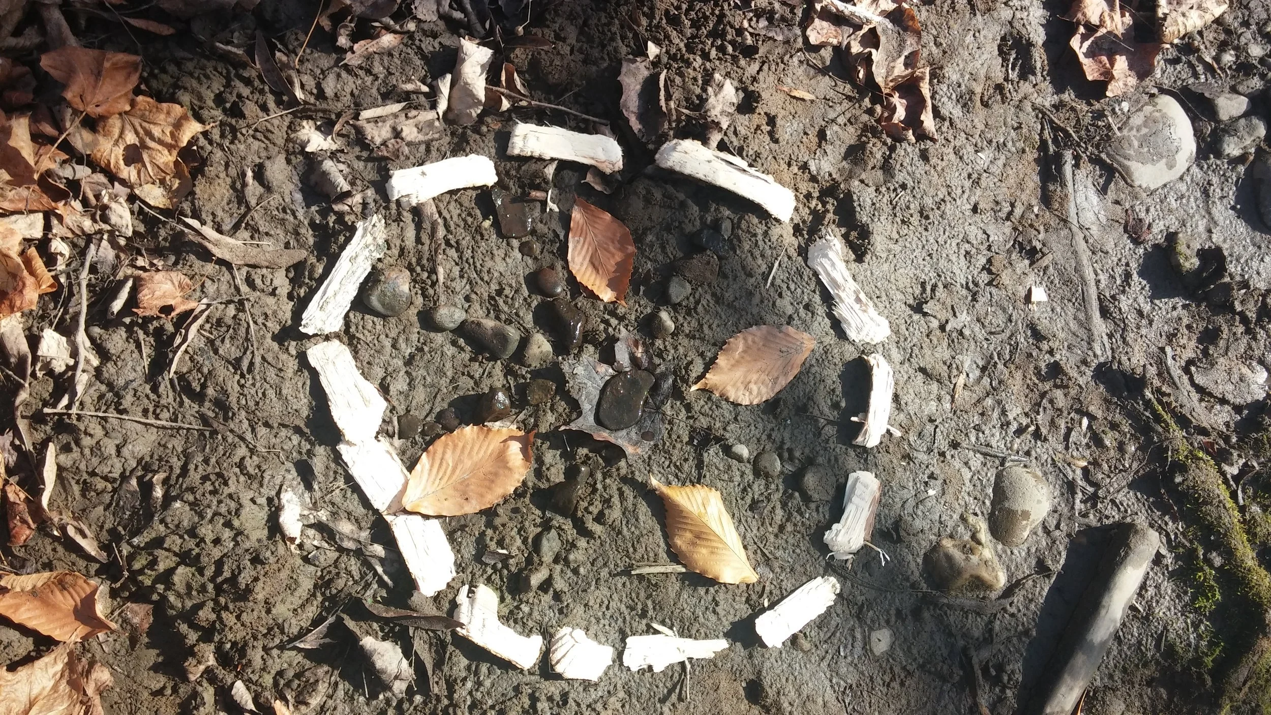 Wild Earth Scrolls — The Root Circle