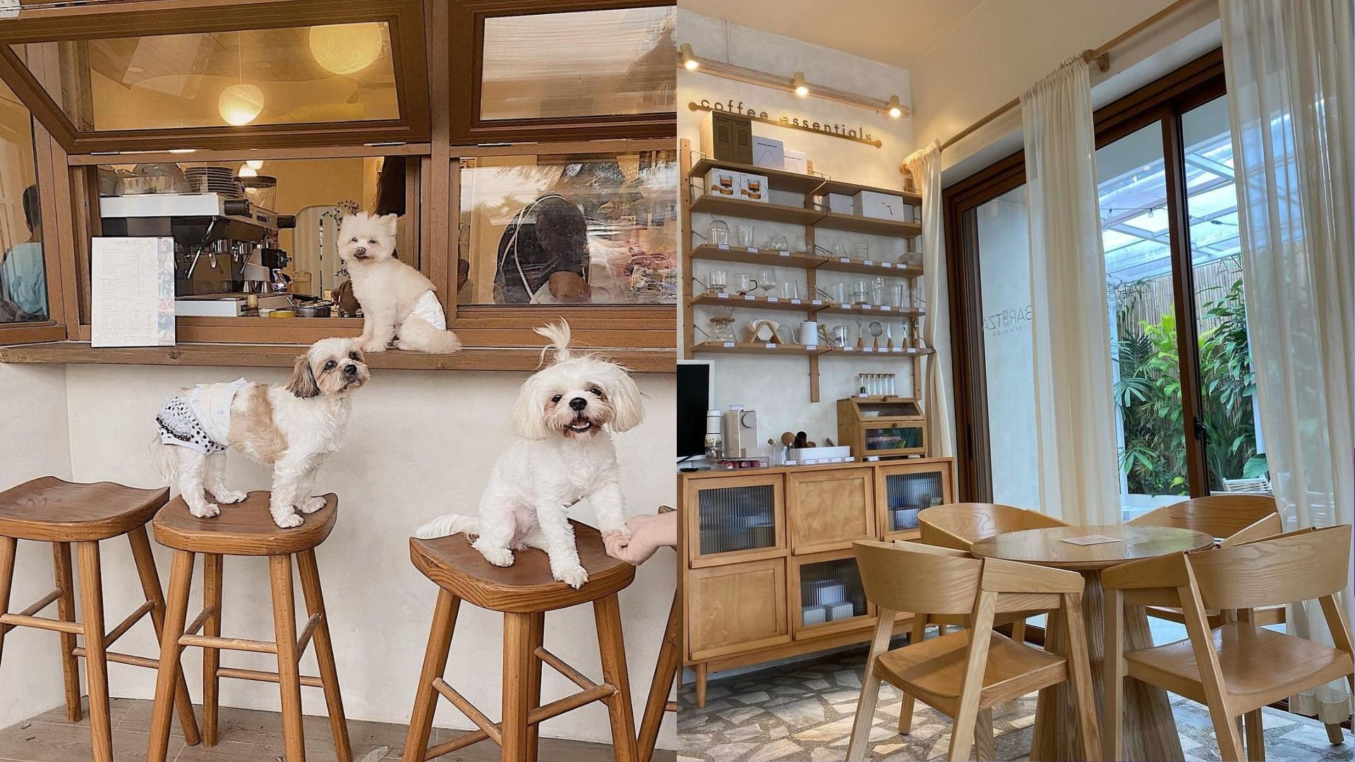 Best Beach Cafes to Discover on Your Next Adventure — stories by wink