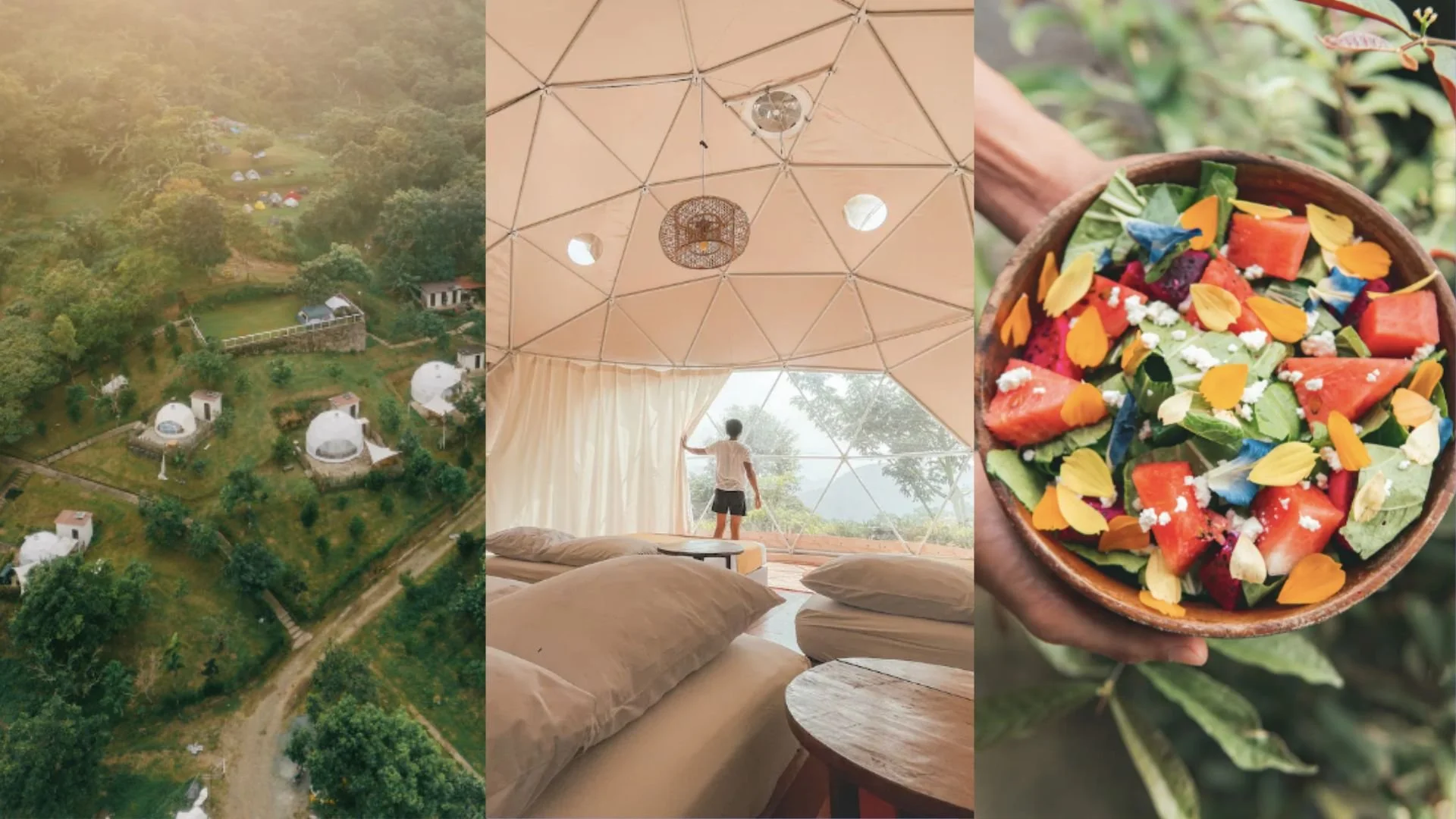 The Best Eco-Friendly Airbnbs for Sustainable Vacations — stories by wink