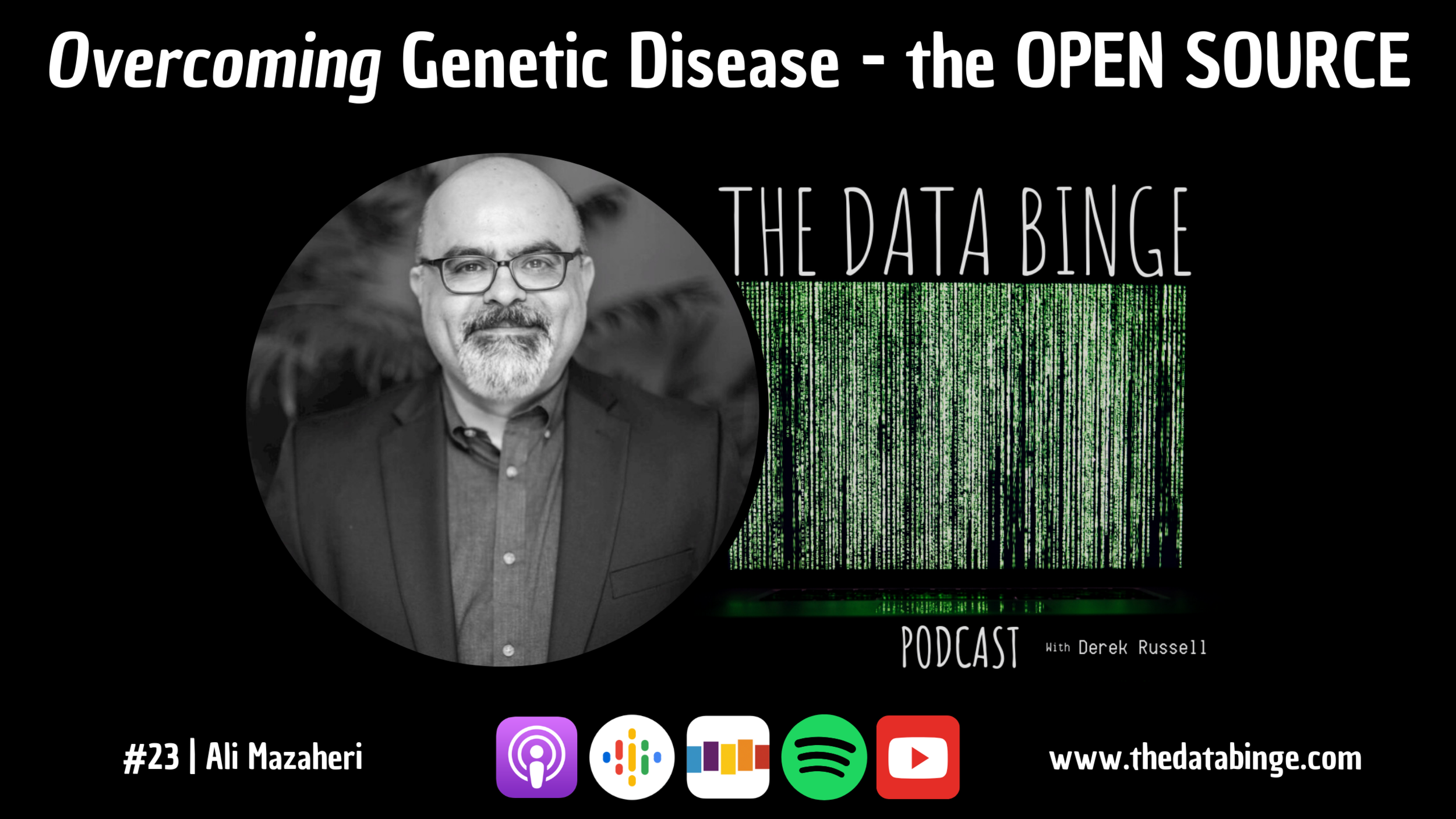 The Data Binge Podcast — derek wesley russell