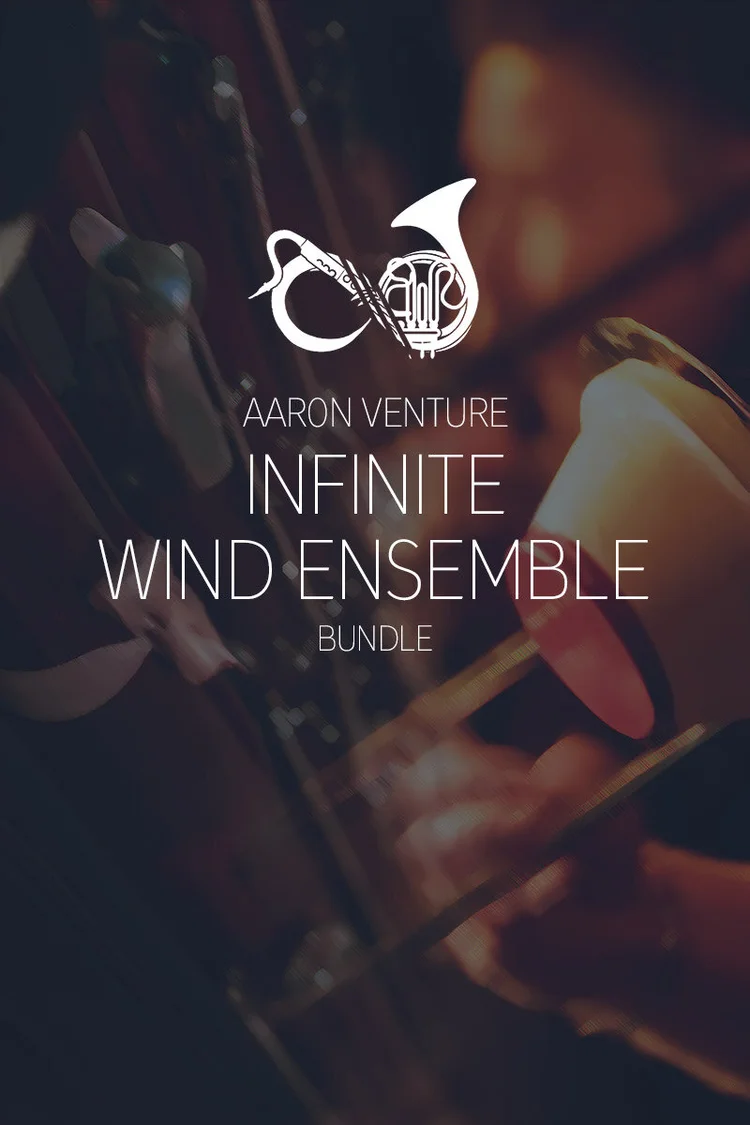 Infinite Series - Bundles — Aaron Venture