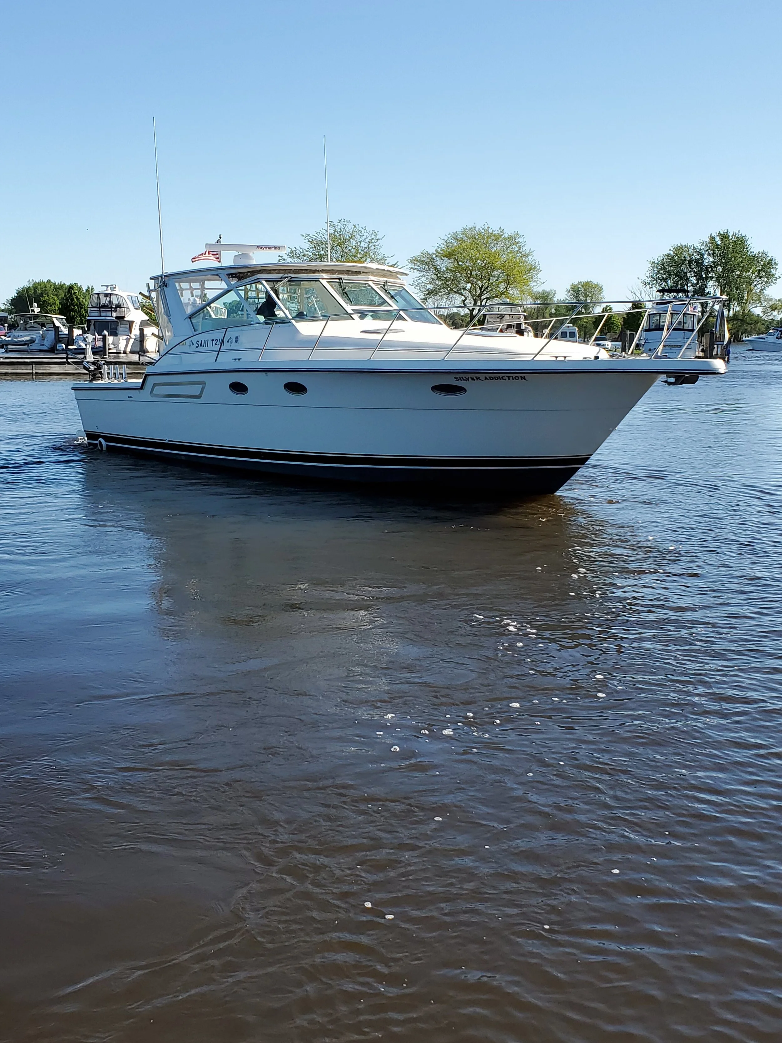 Silver Addiction Charters