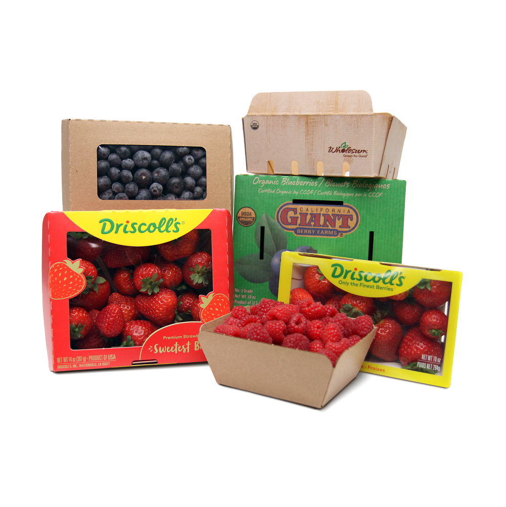 Plastic Replacement — Everett Graphics