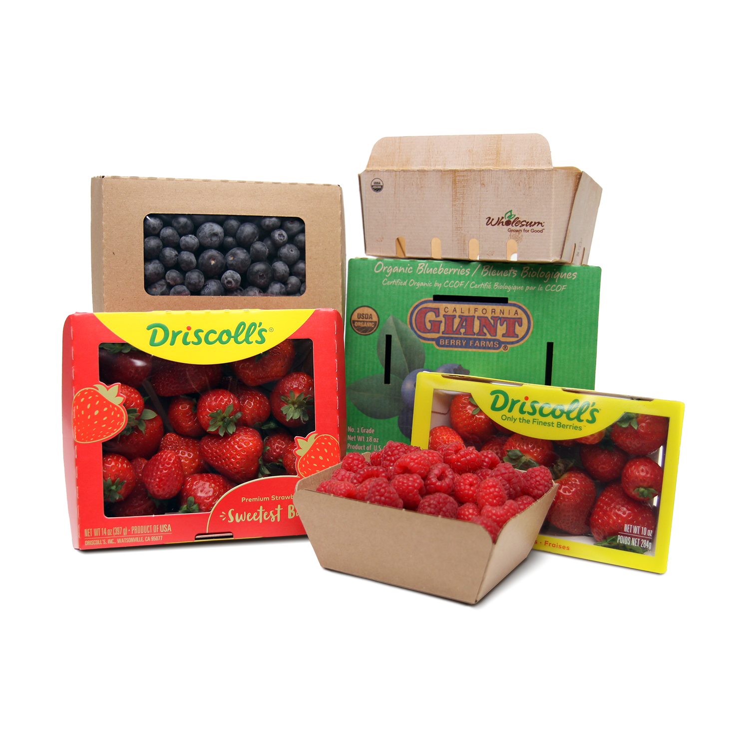 Plastic Replacement — Everett Graphics