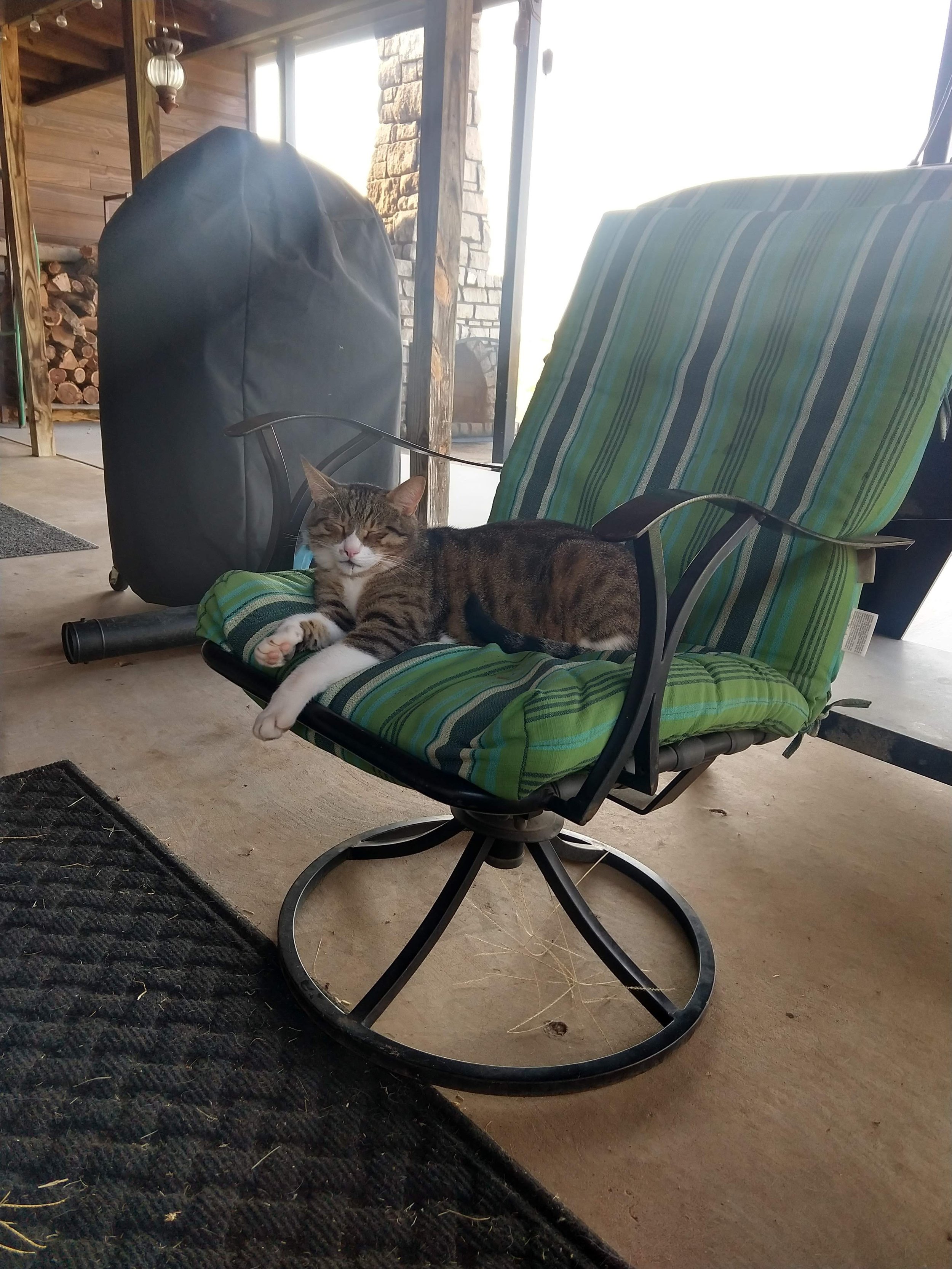A Little Update on Katelyn and Carolina (and Gizmo!) — Passionist Nuns