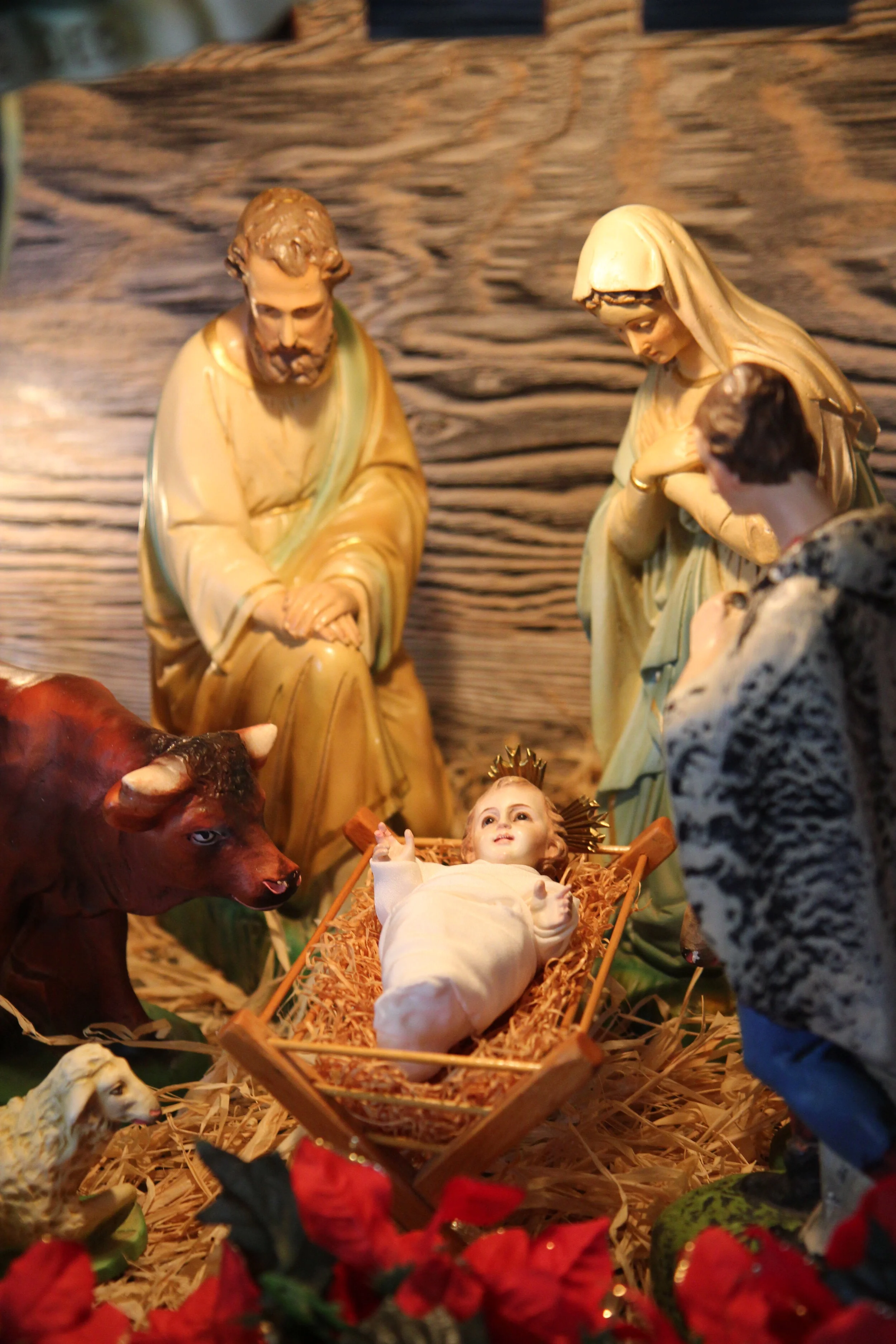 Breaking Open the Word - Feast of the Holy Family — Passionist Nuns