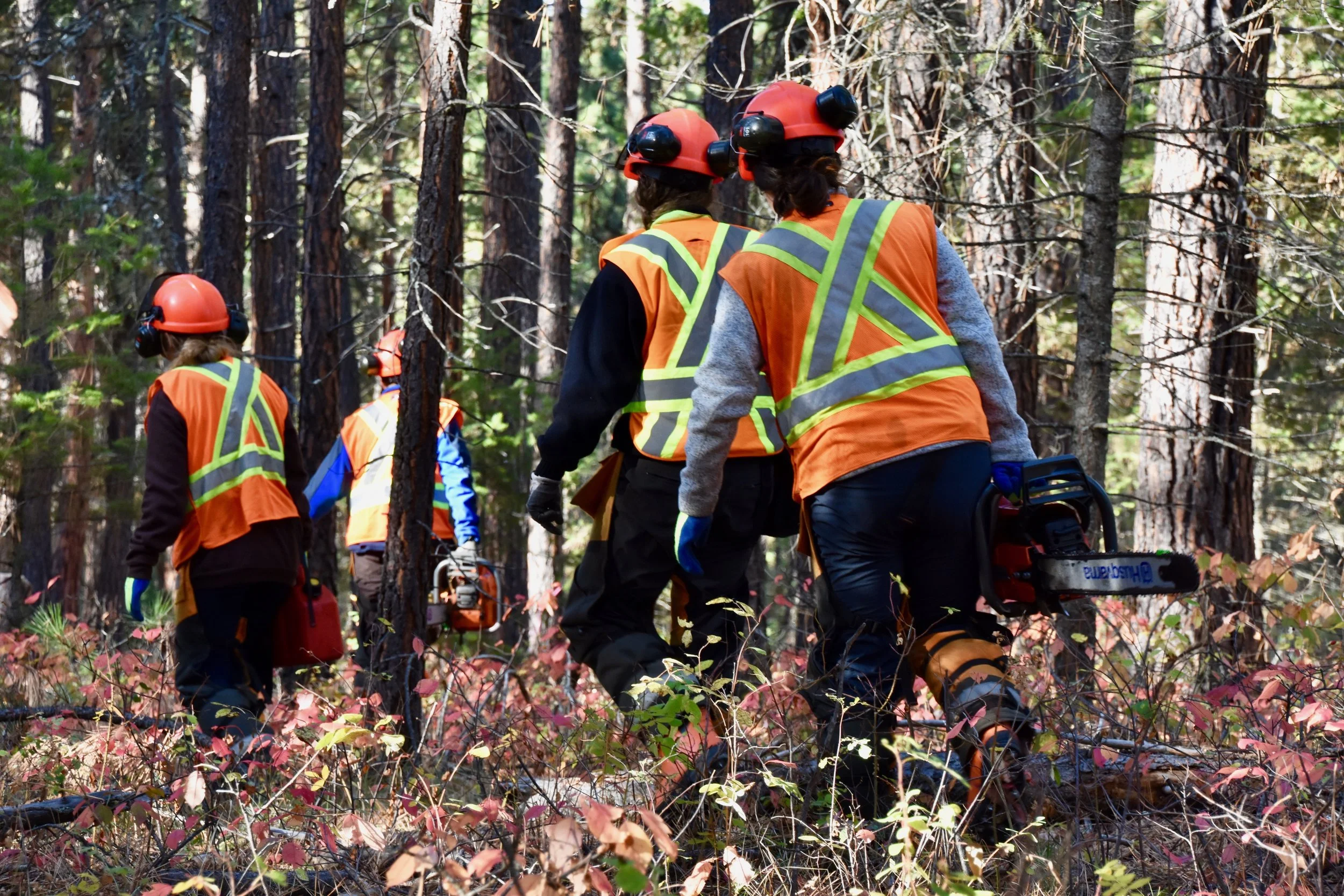 Stillwater Consulting Ltd.