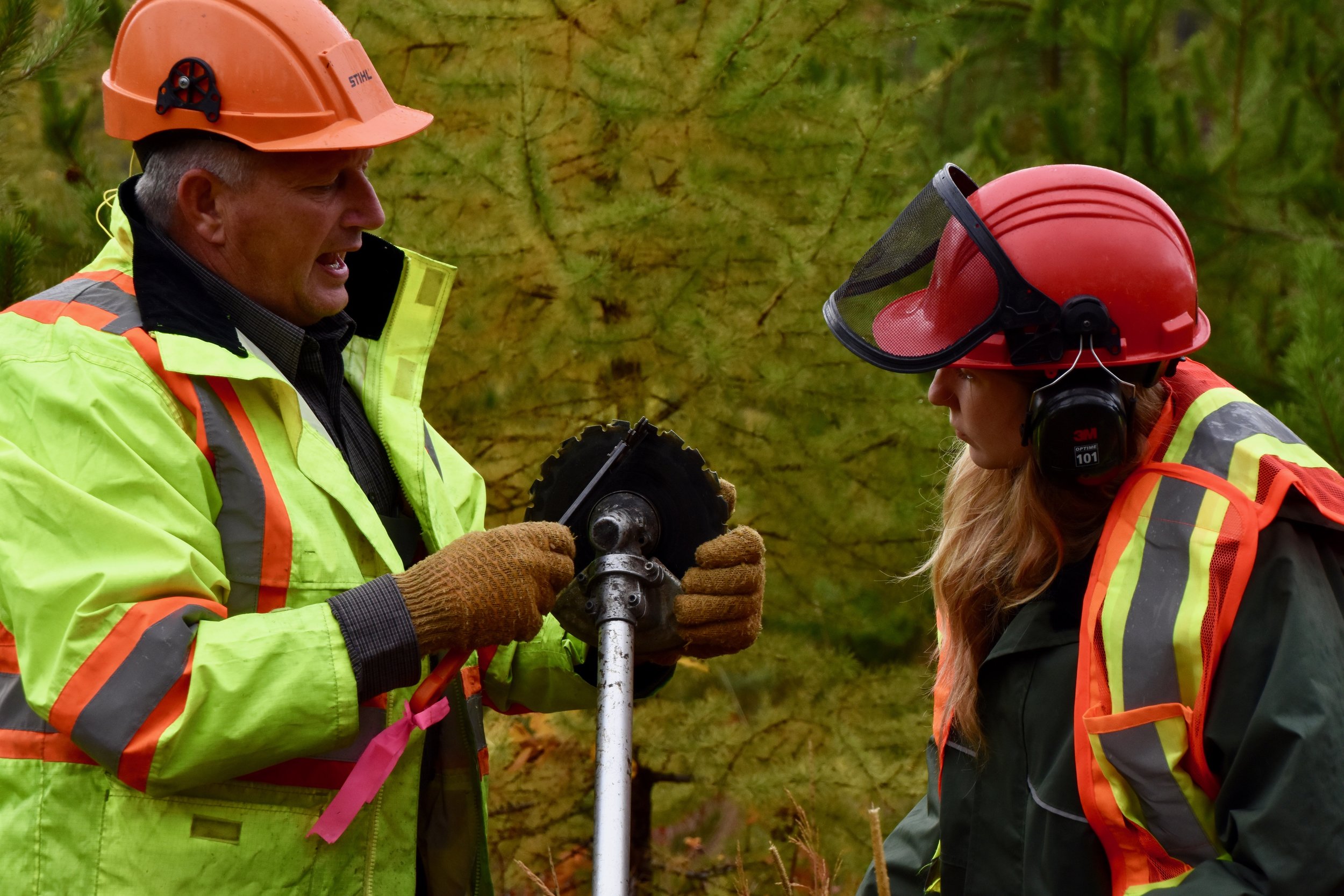 Customized Forestry Training — Stillwater Consulting Ltd.