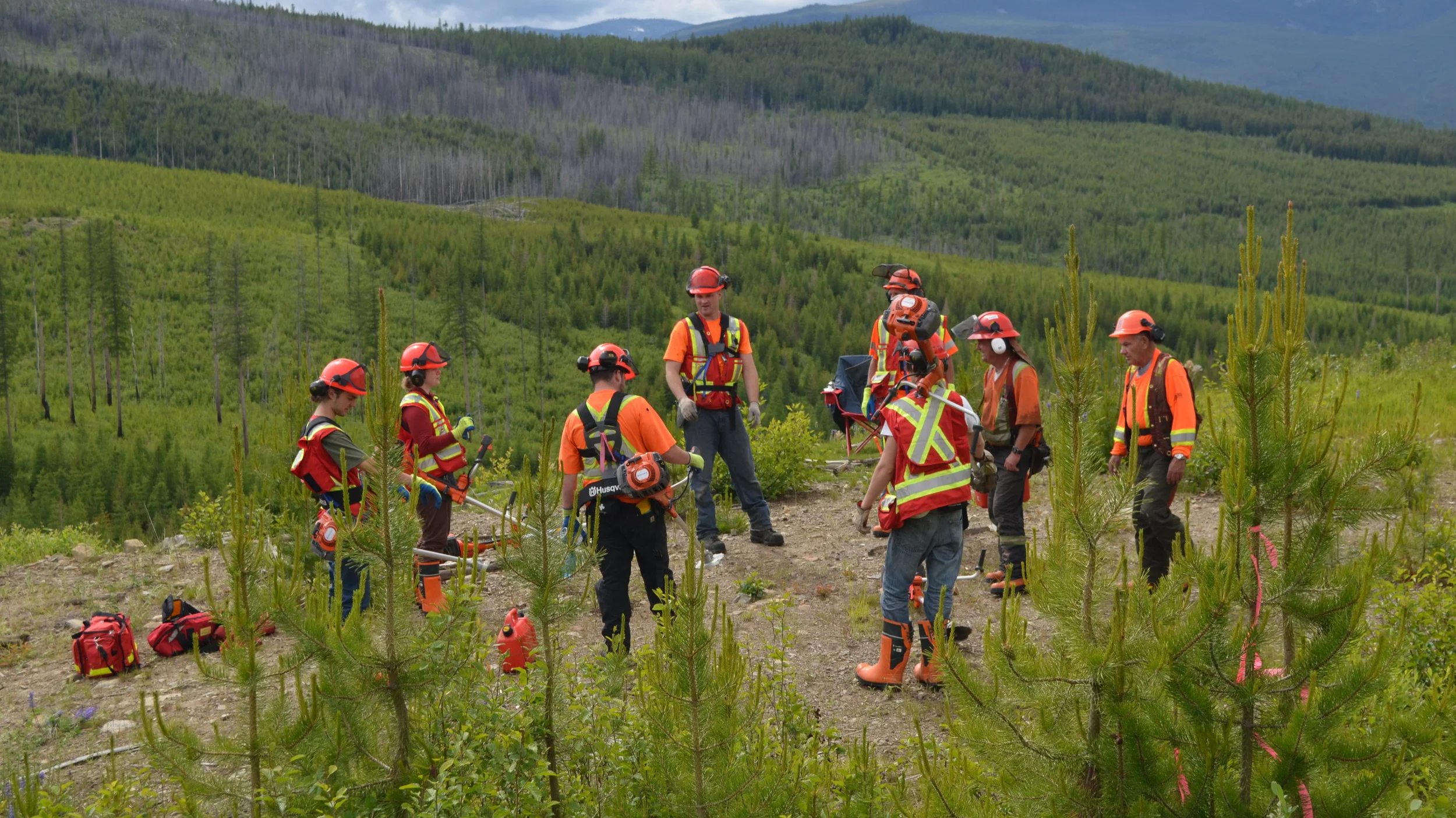 Customized Forestry Training — Stillwater Consulting Ltd.