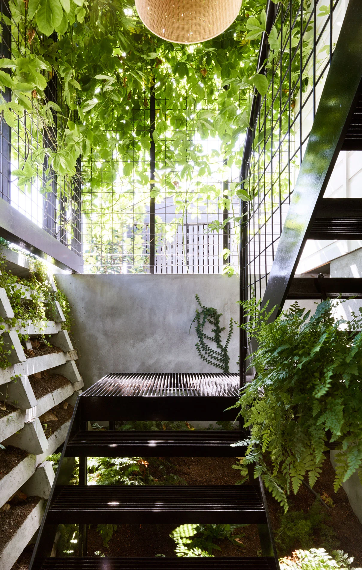 Terrarium House – JOHN ELLWAY. ARCHITECT