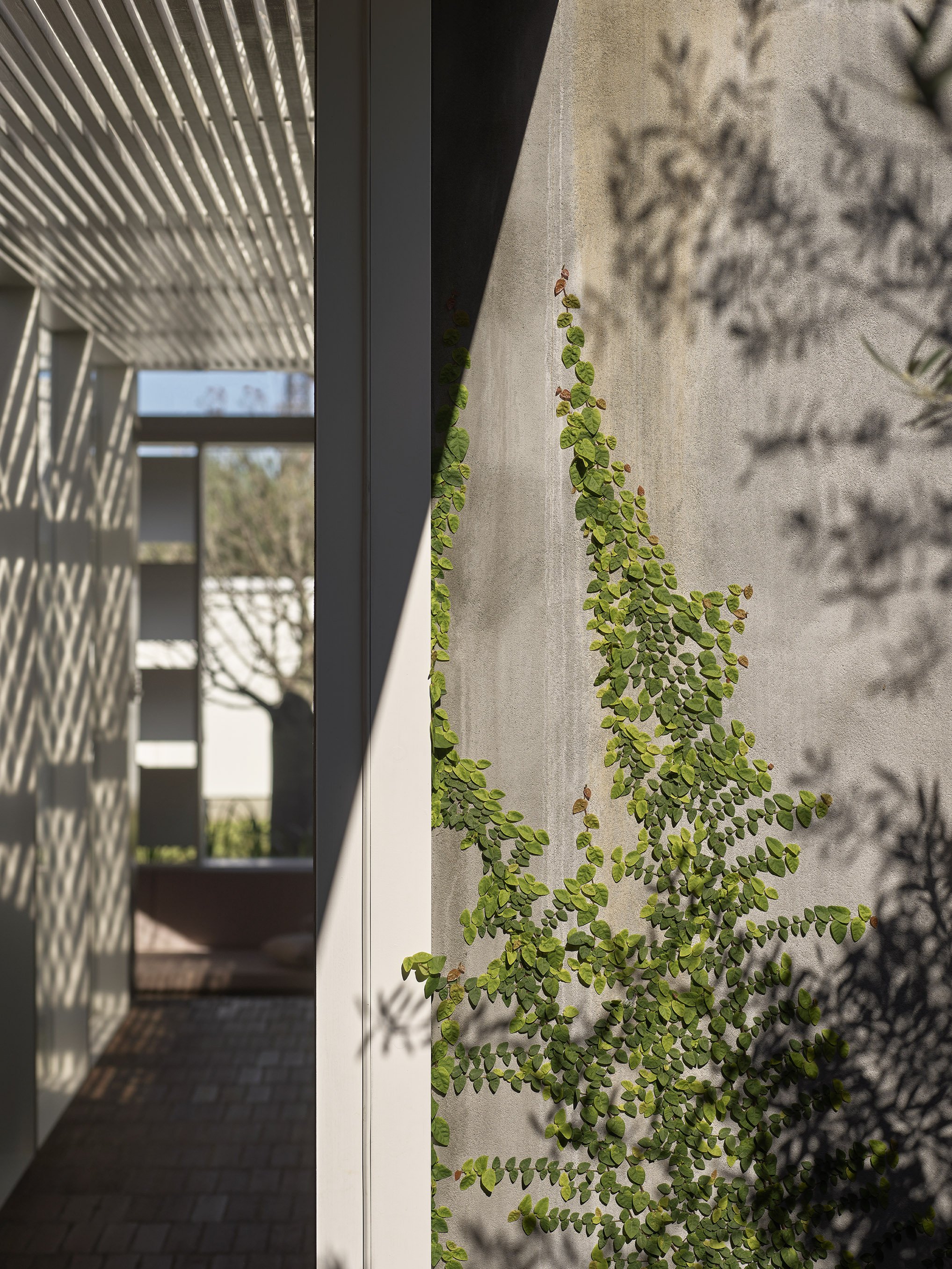 JOHN ELLWAY. ARCHITECT — Hopscotch House